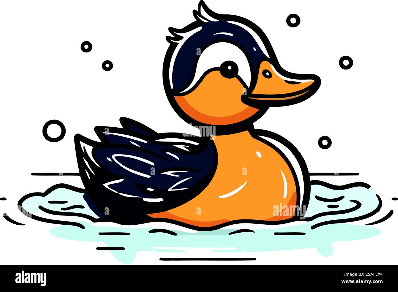 Water mallard duck Stock Vector Images - Alamy