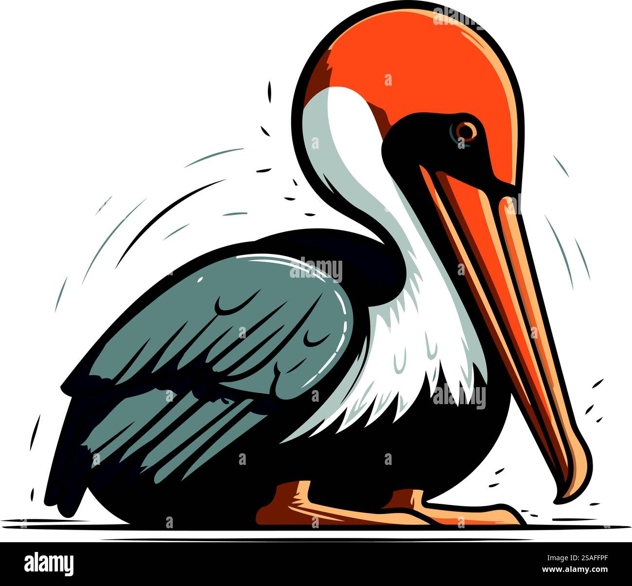 Pelican vector illustration. Isolated pelican on white background Stock ...