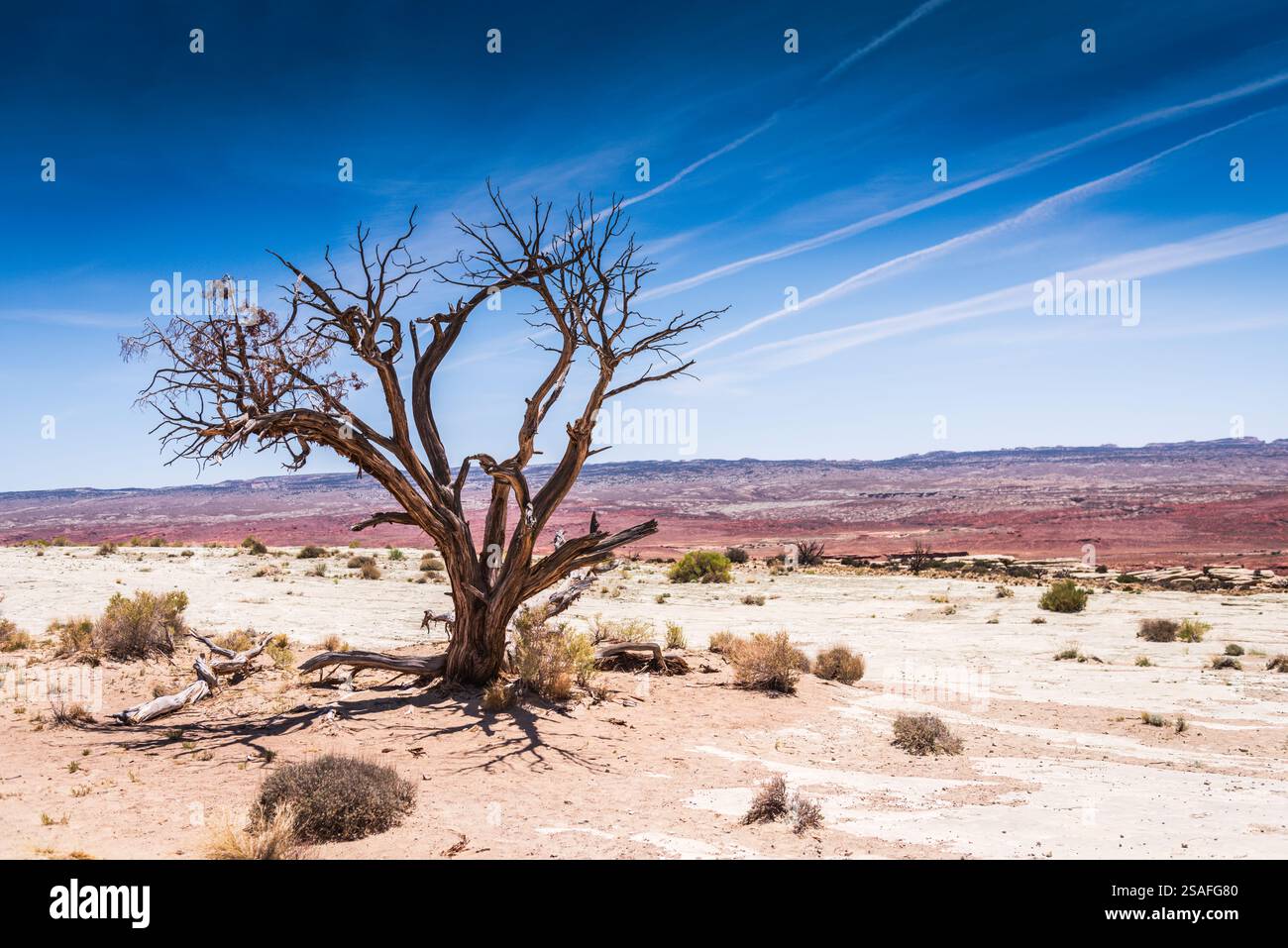 Castle Valley in the San Rafael Reef geologic region of the Colorado ...