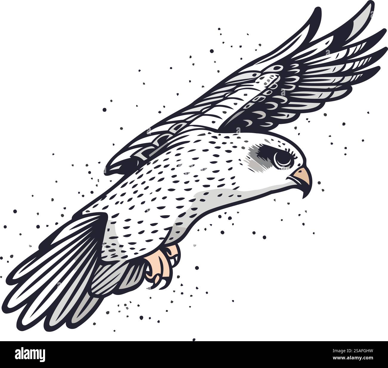 Falcon flying. Hand drawn vector illustration in vintage engraving ...