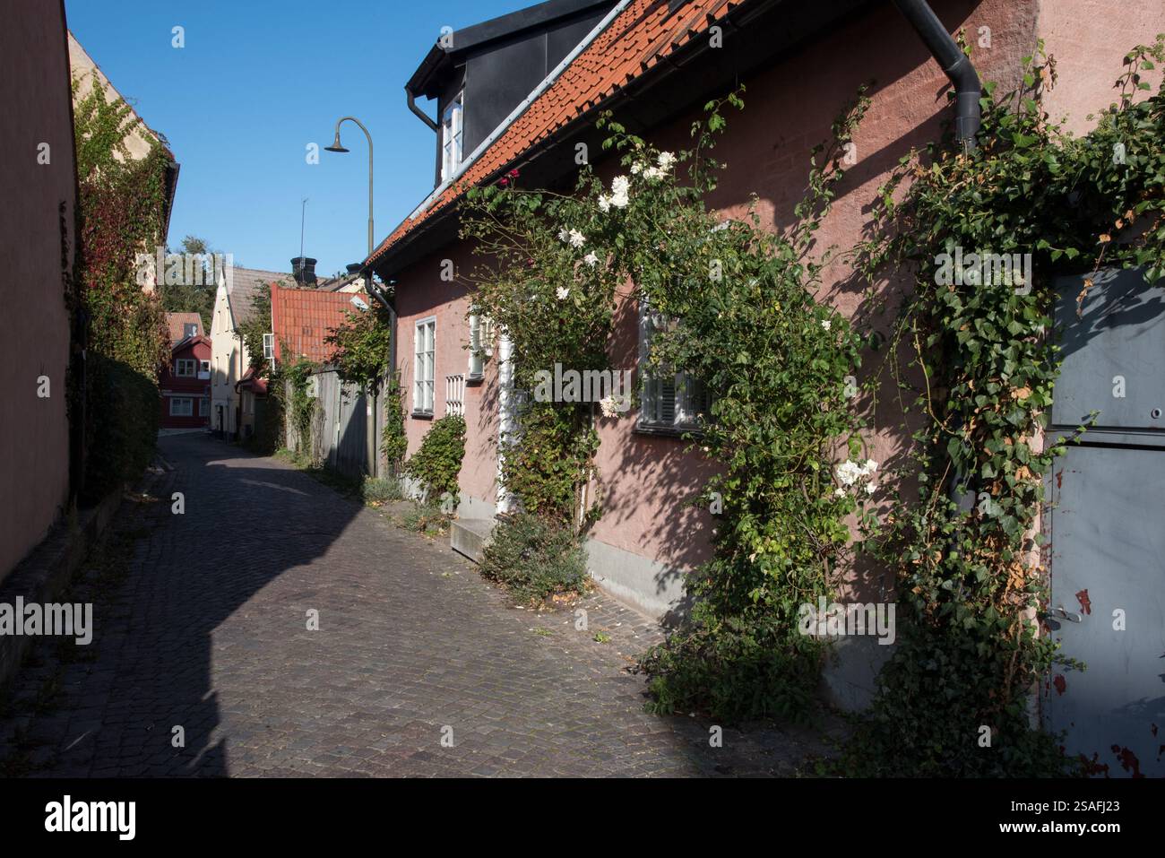 Visby is a medieval town on the Swedish island of Gotland with a well ...