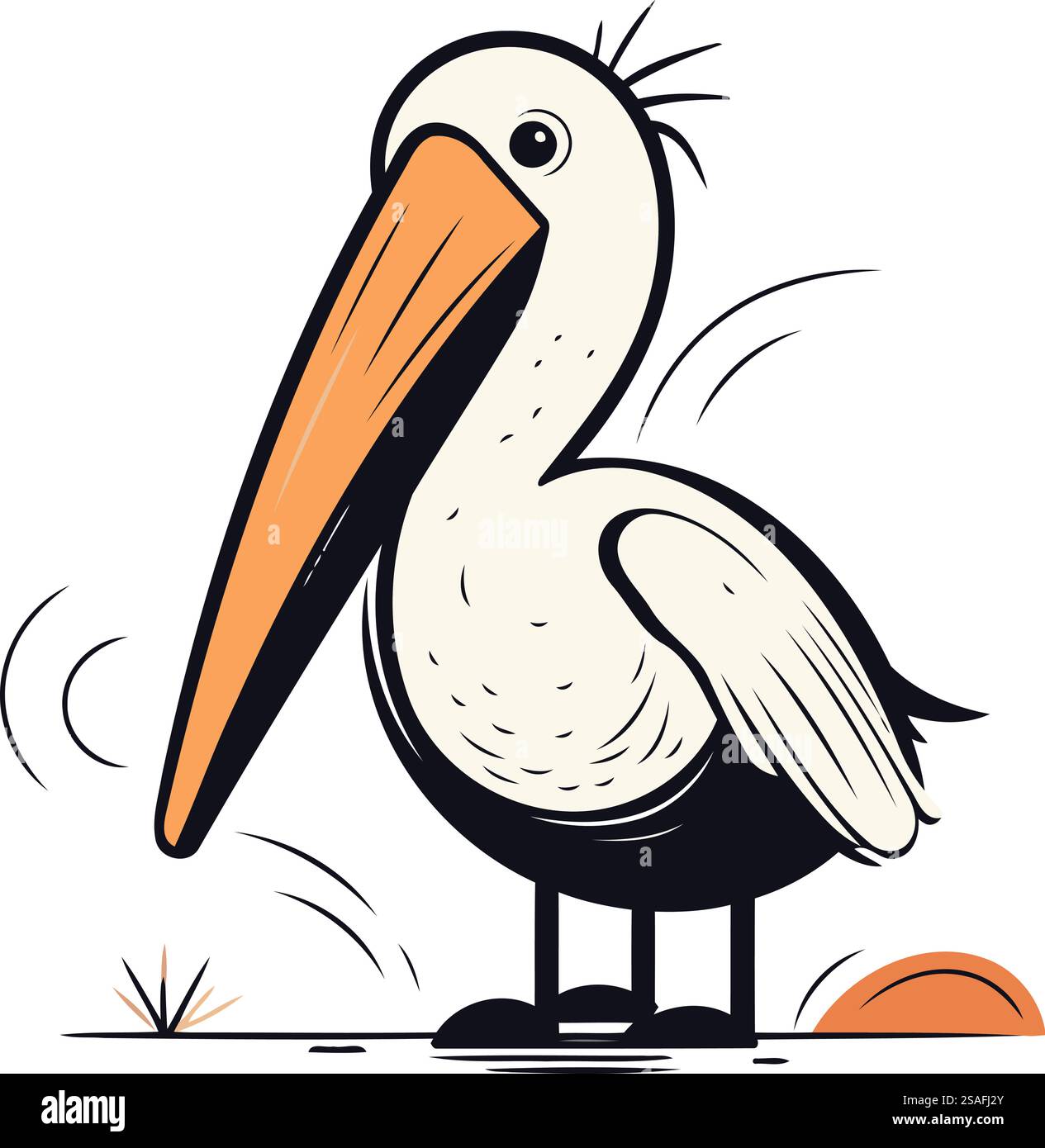 Pelican. Vector illustration. Isolated on white background Stock Vector ...