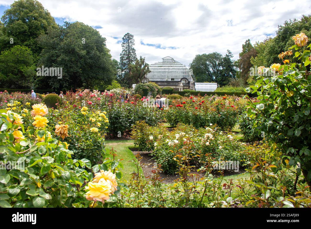 Central Rose Garden, Christchurch Botanical Gardens, Christchurch ...