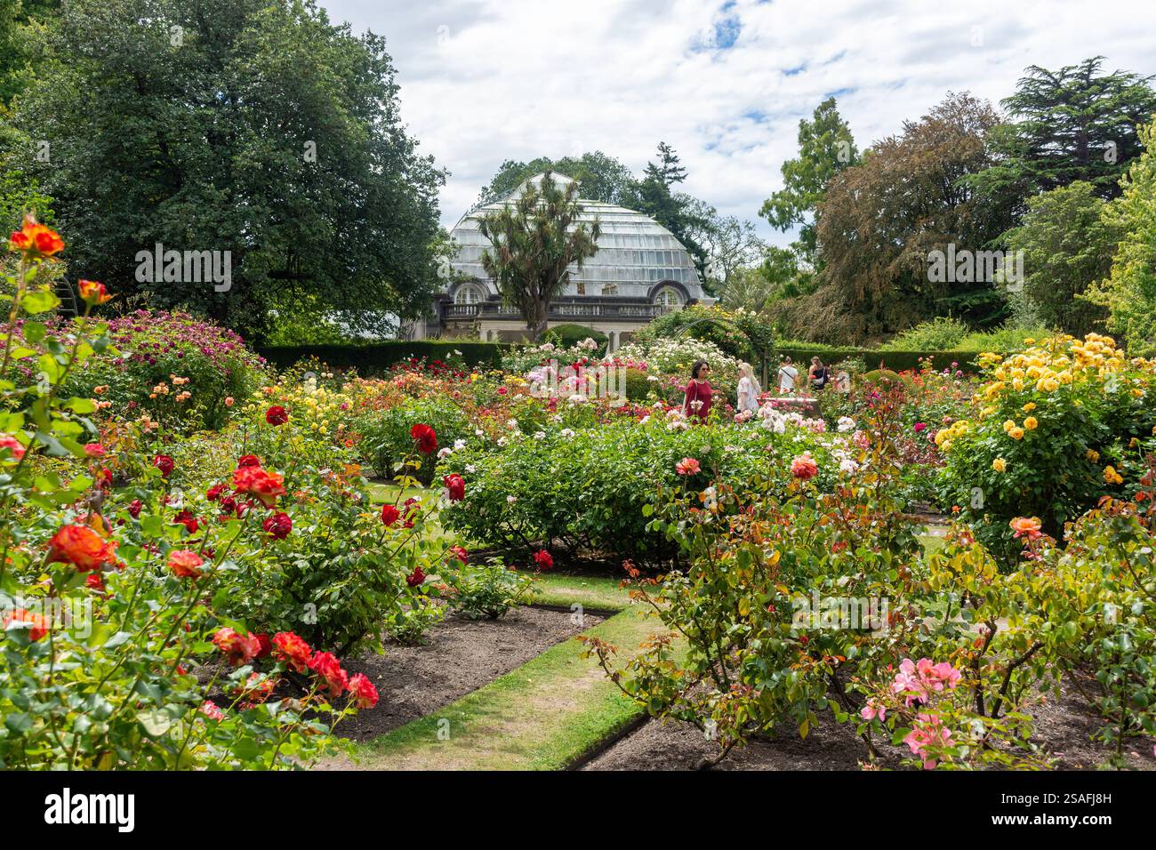 Central Rose Garden, Christchurch Botanical Gardens, Christchurch ...