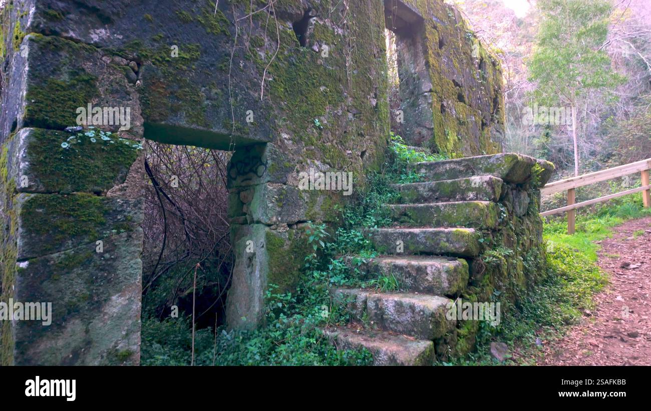 A moss-covered stone staircase leads into the depths of an overgrown ...