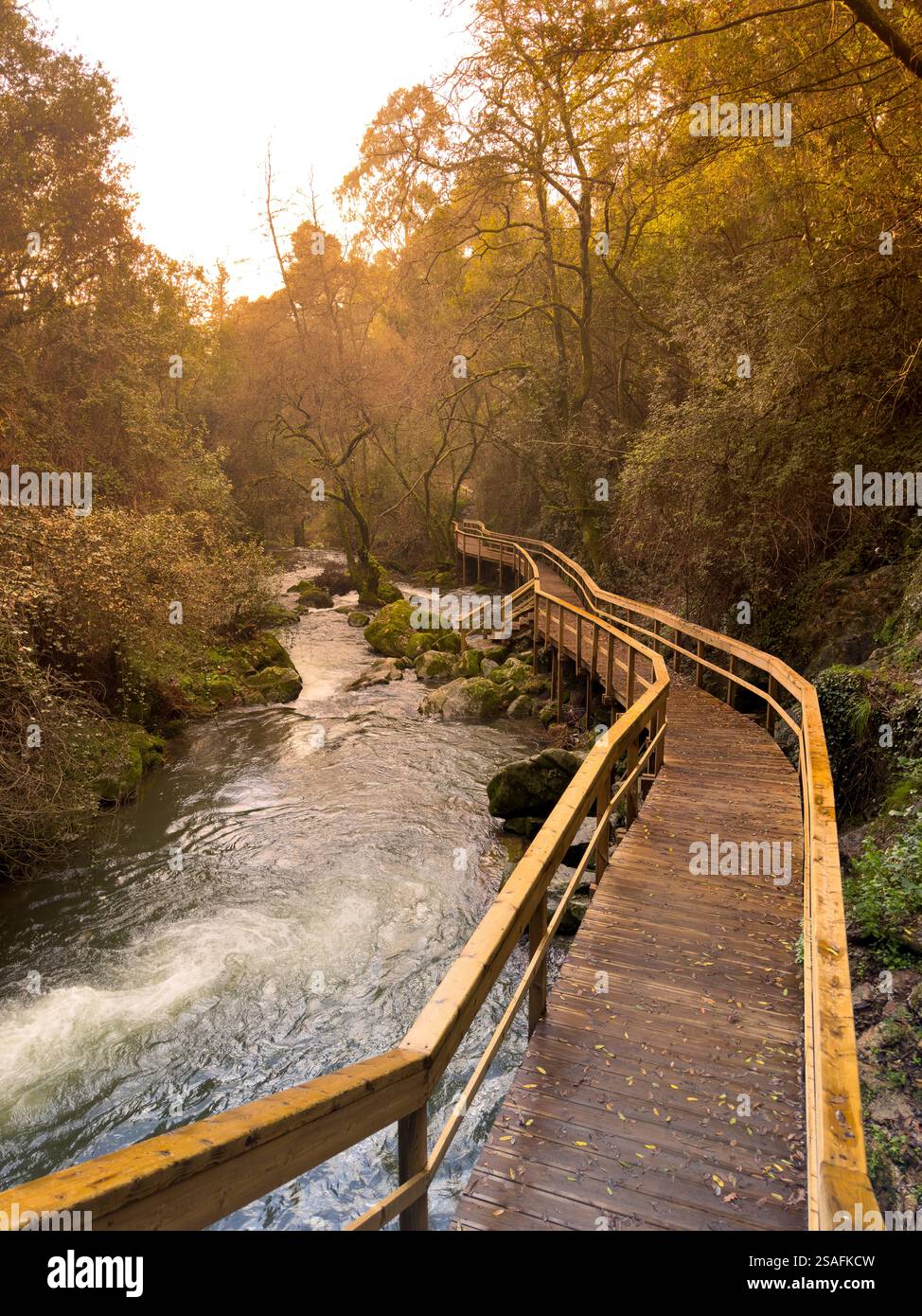 A winding wooden walkway follows a rushing river through a sun-dappled ...