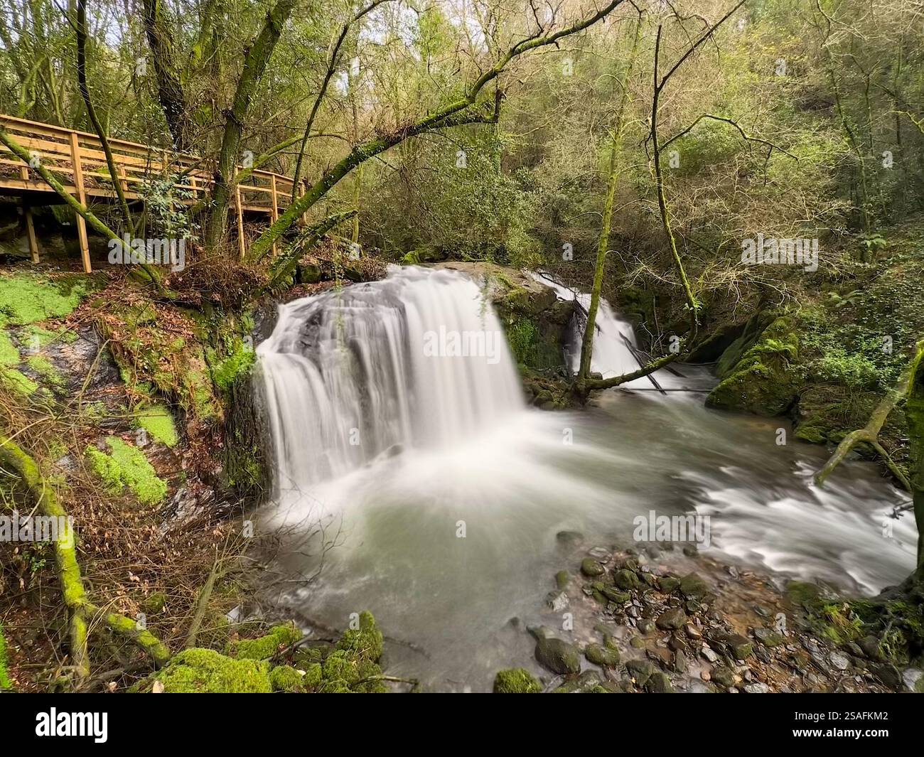 A powerful waterfall rushes over rocks, creating a dynamic scene near ...