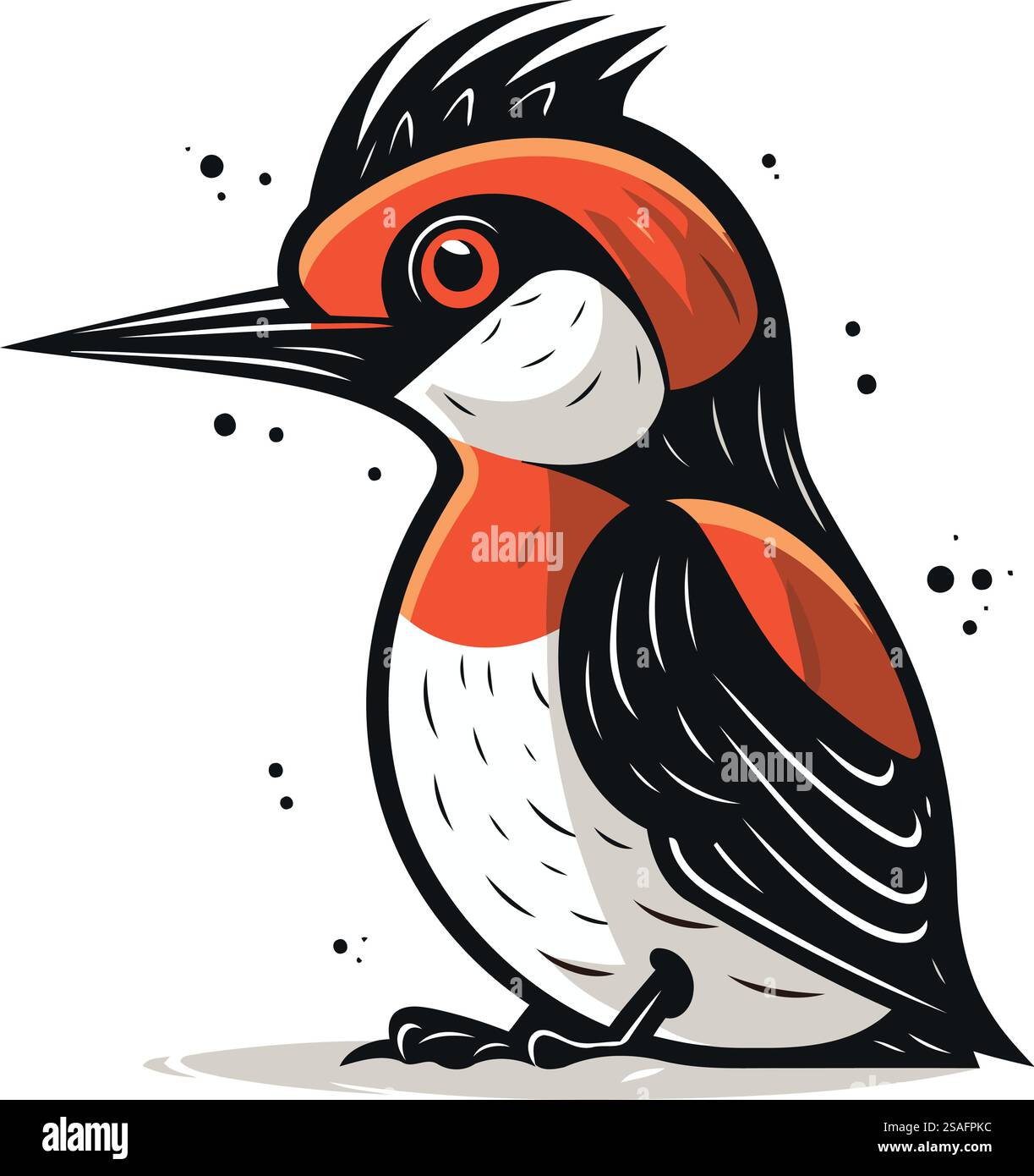 Vector image of a red backed woodpecker on a white background Stock ...