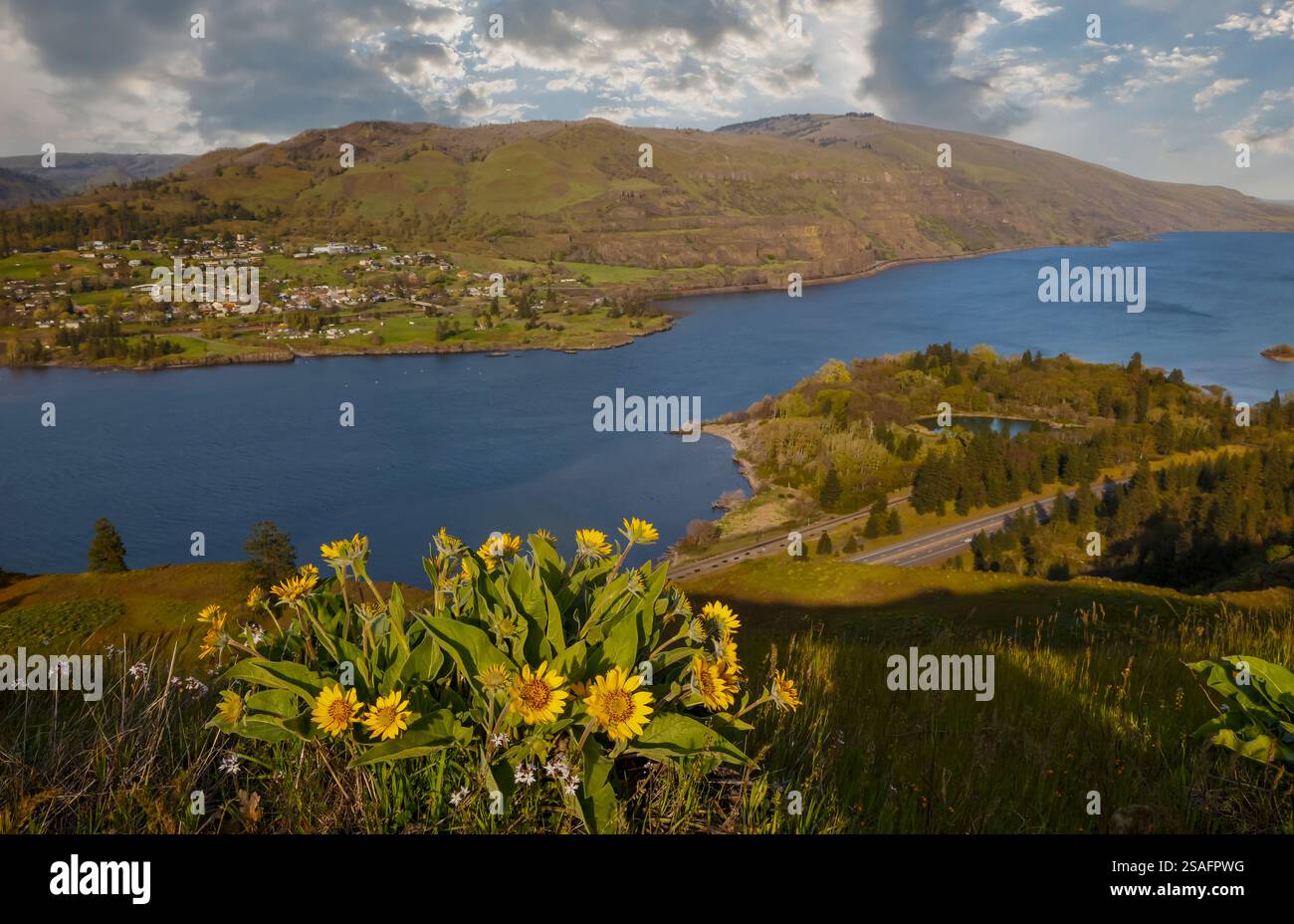 USA, Oregon, Rowena. Tom McCall Preserve along the Historic Columbia ...