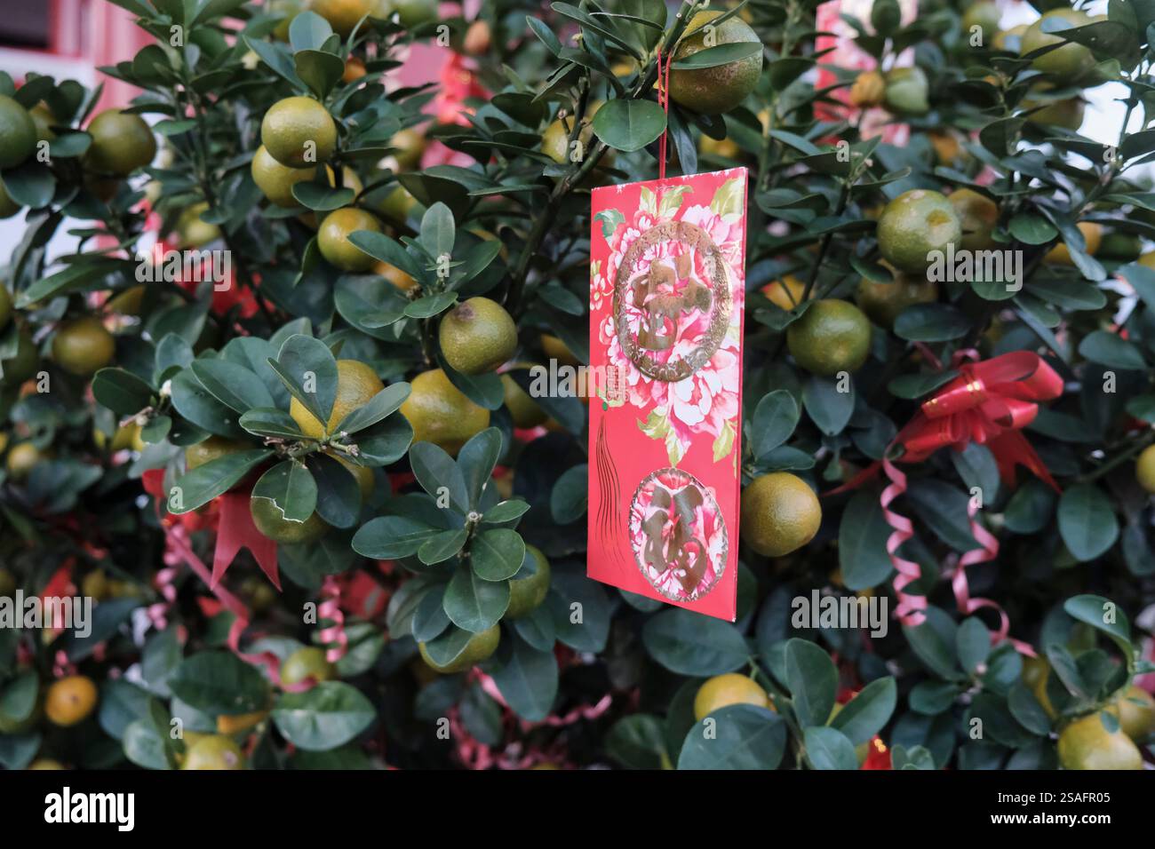 Kuala Lumpur, Malaysia. 29th Jan, 2025. An angpao or Chinese red ...
