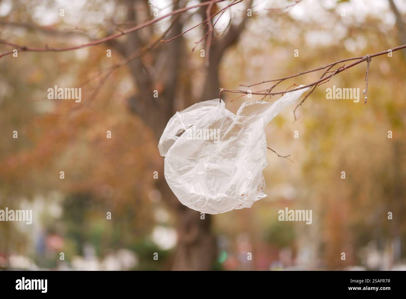 Plastic bag in tree branches Stock Photo - Alamy
