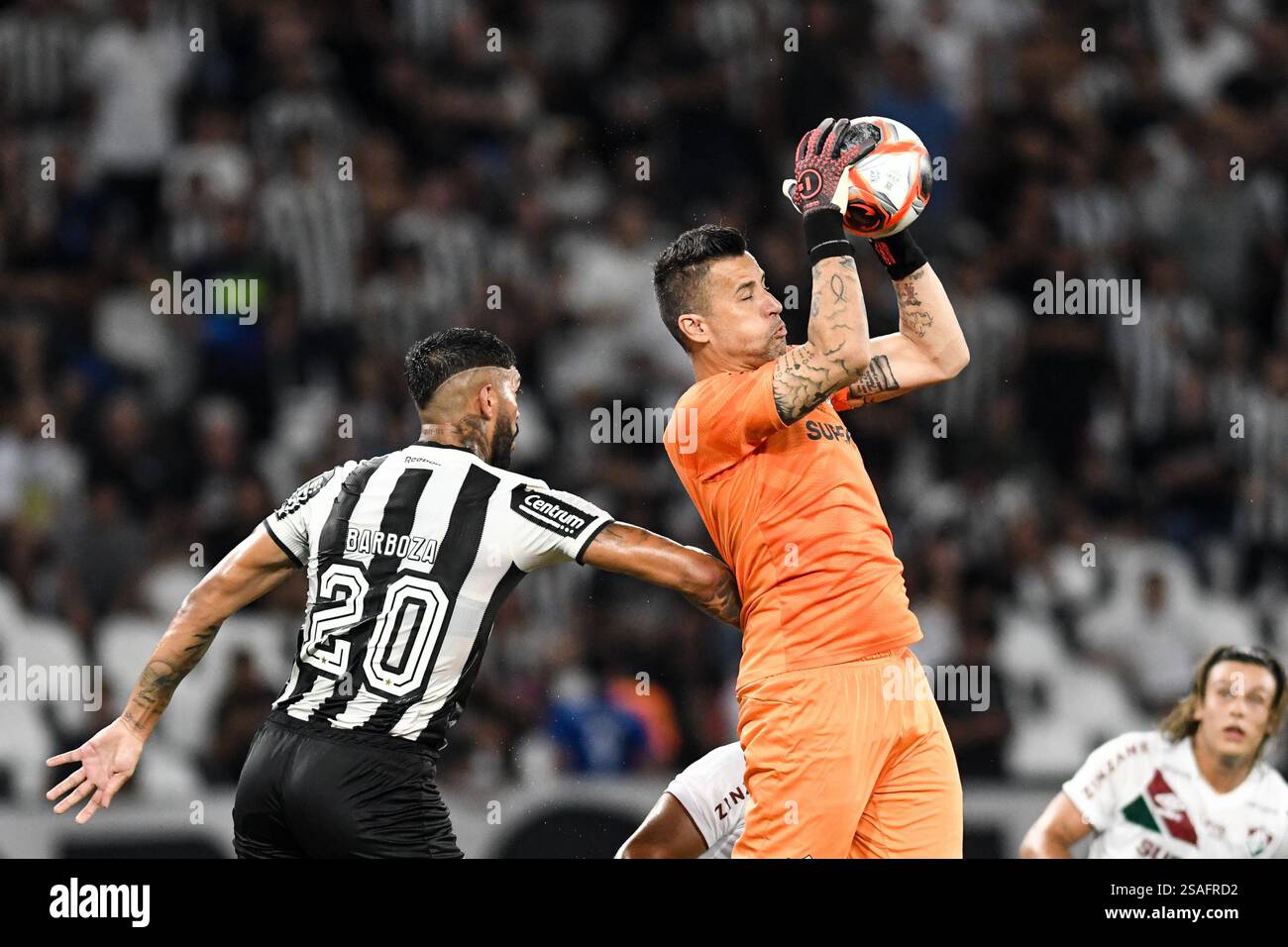 Rio De Janeiro, Brazil. 29th Jan, 2025. Fabio during Botafogo x ...