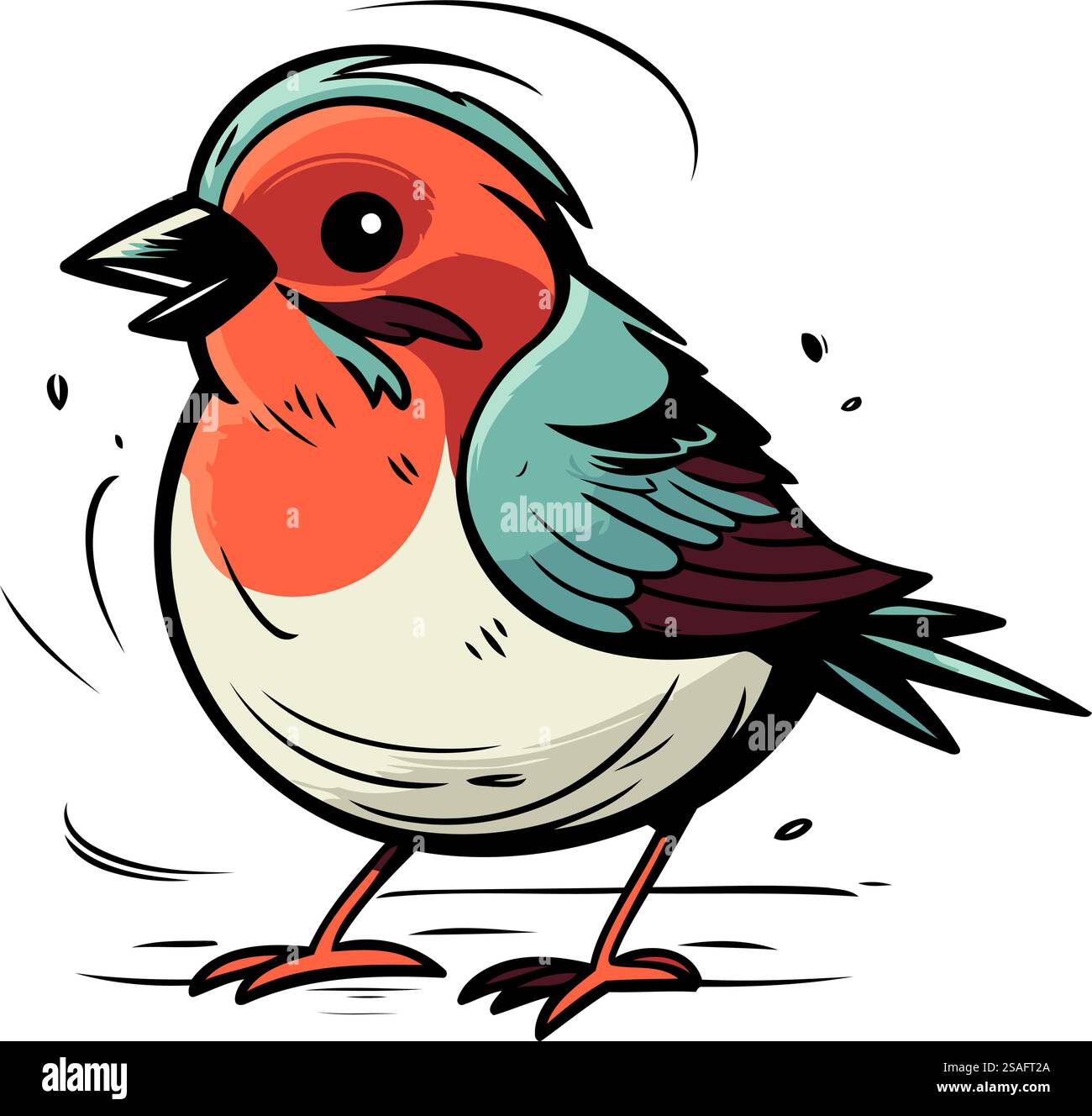 Cute robin bird isolated on white background. Vector illustration Stock ...