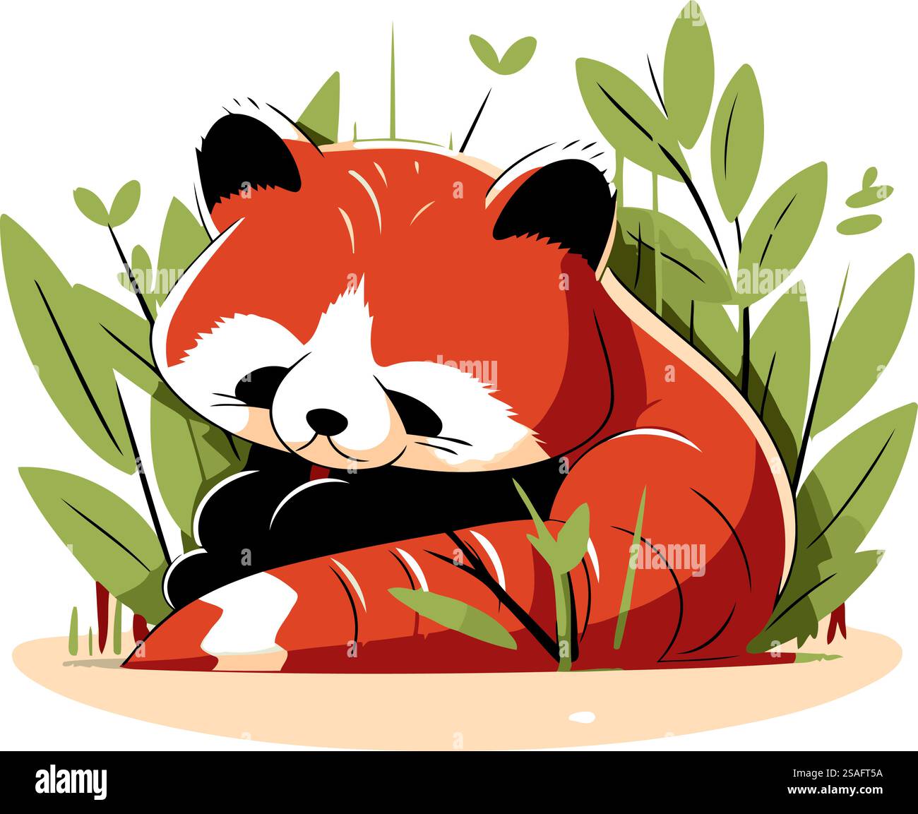 Red panda sleeping on ground hi-res stock photography and images - Alamy
