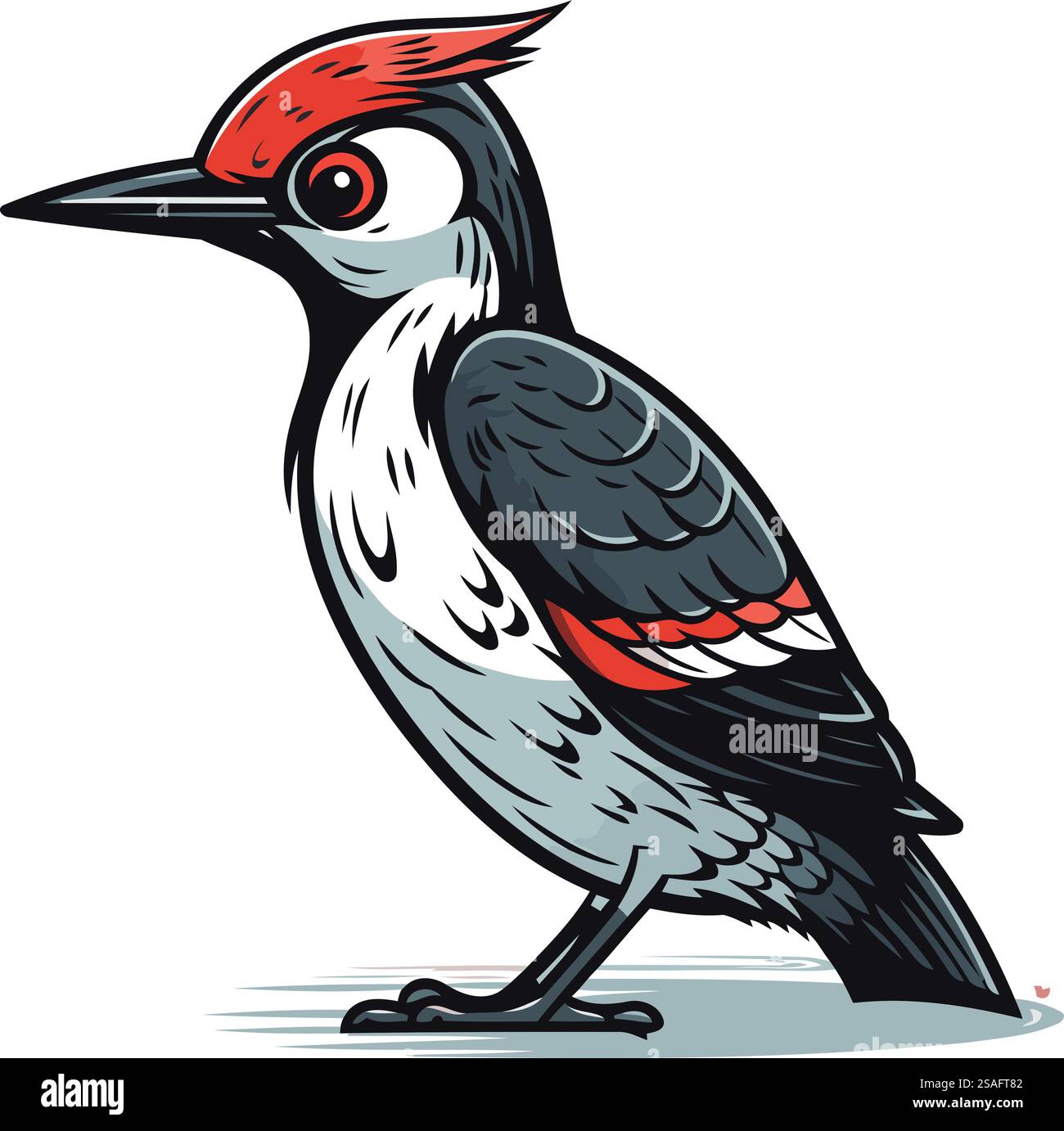 Spotted woodpecker dendrocopos major Stock Vector Images - Alamy
