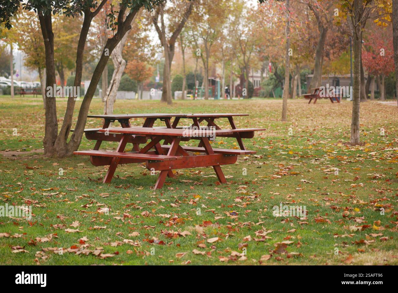 Autumn tables hi-res stock photography and images - Alamy