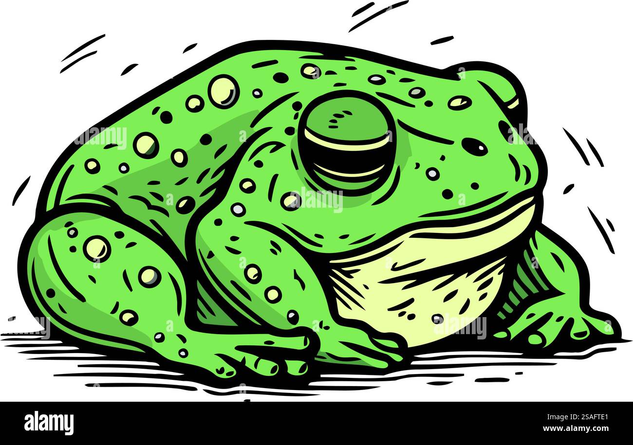 Frog. Hand drawn vector illustration. Isolated on white background ...