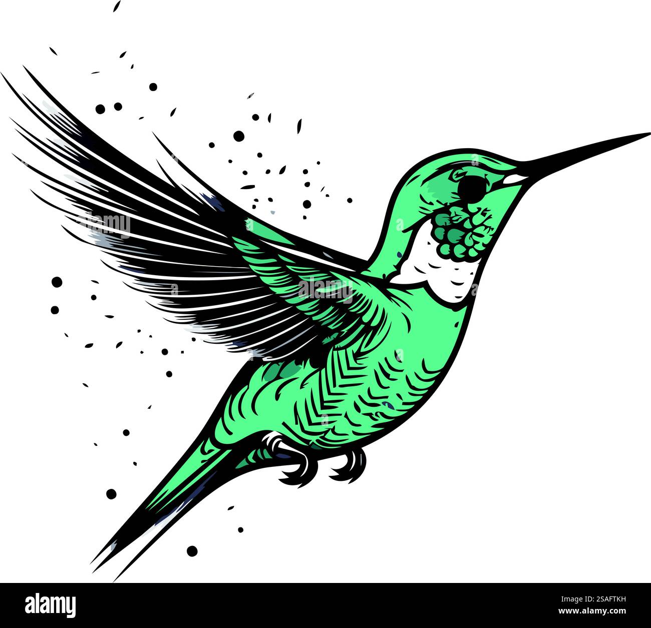 Hummingbird hand drawn vector illustration. Isolated on white ...