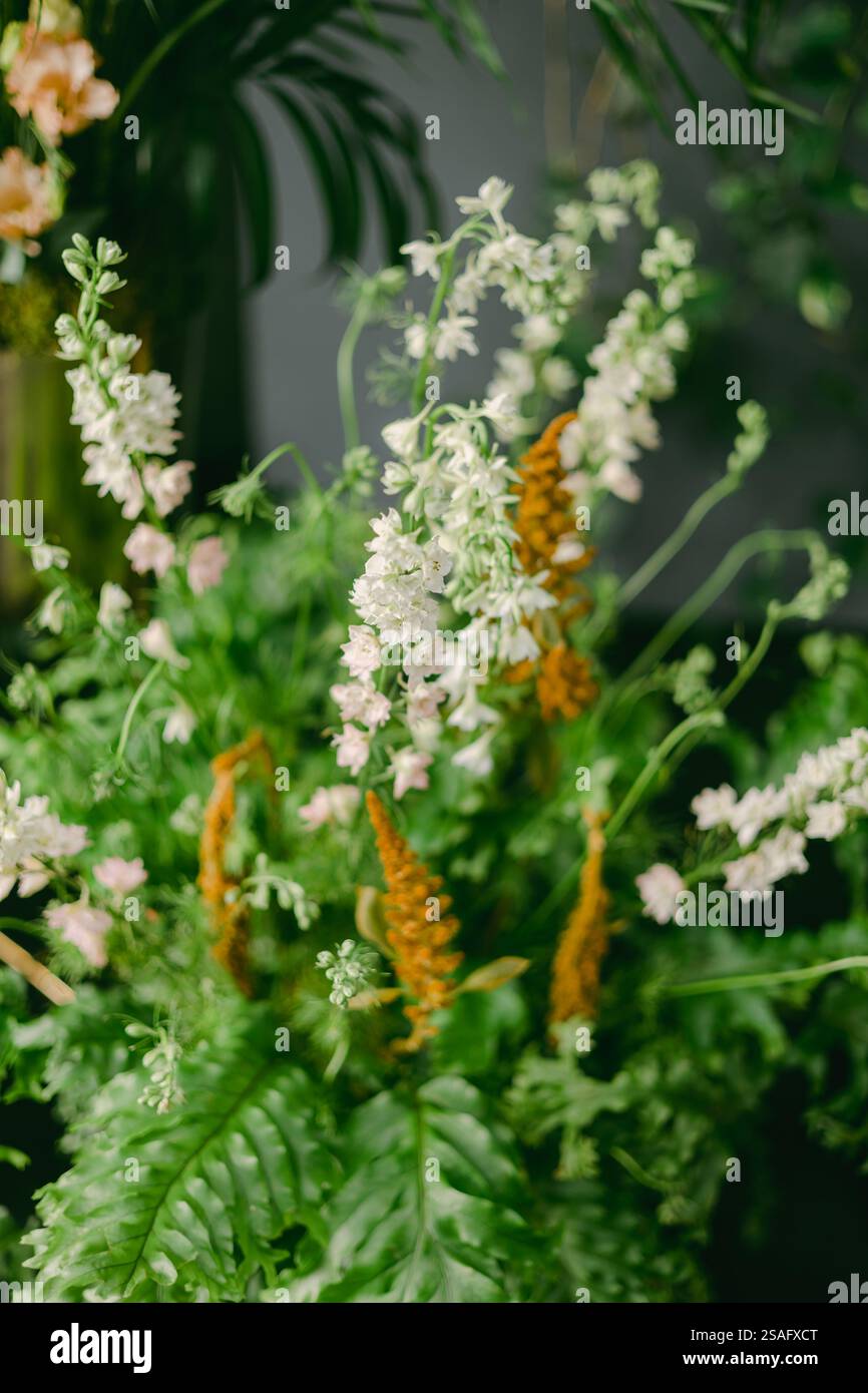 Lush blooms in shades of orange hi-res stock photography and images - Alamy