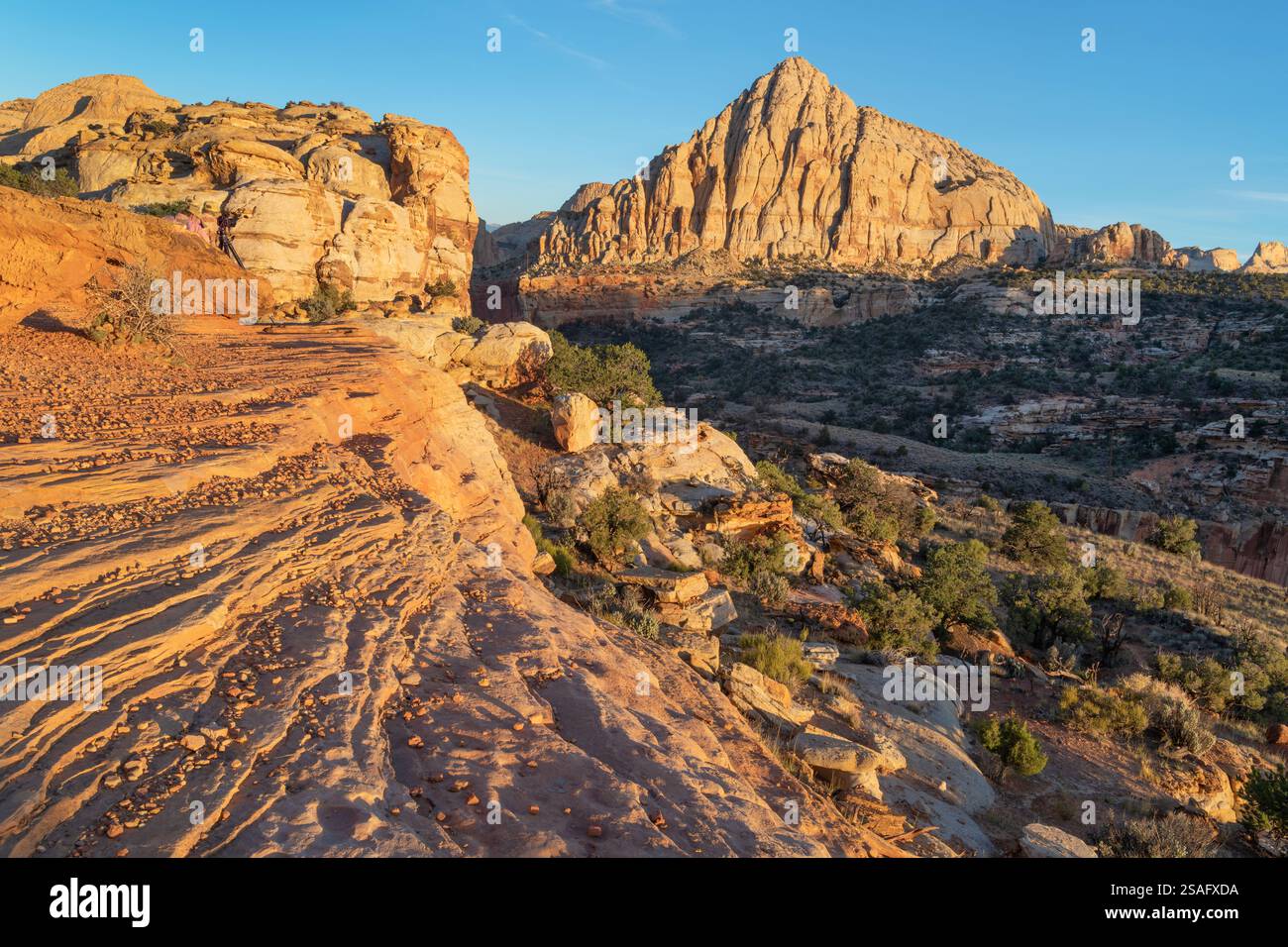 Pectols Pyramid seen from slickrock benches of the Rim Trail, Capitol ...