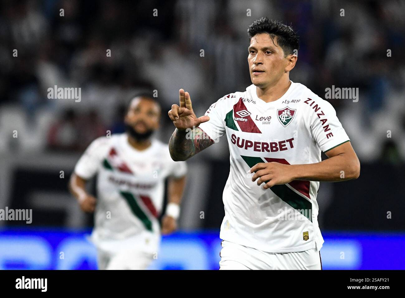 Rio De Janeiro, Brazil. 29th Jan, 2025. German Cano during Botafogo x ...