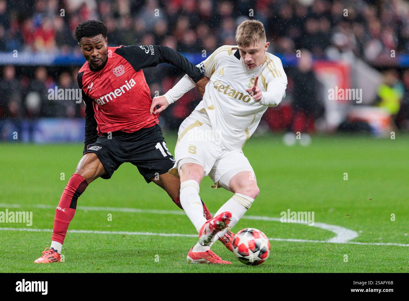 Leverkusen, Deutschland. 29th Jan, 2025. Nathan Tella (Bayer 04 ...