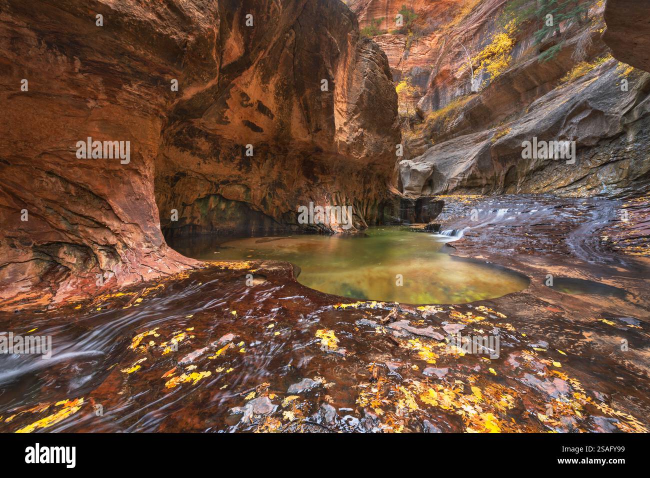 Emerald green pools in The Subway, Left Fork of North Creek, Zion National Park, Utah Stock ...