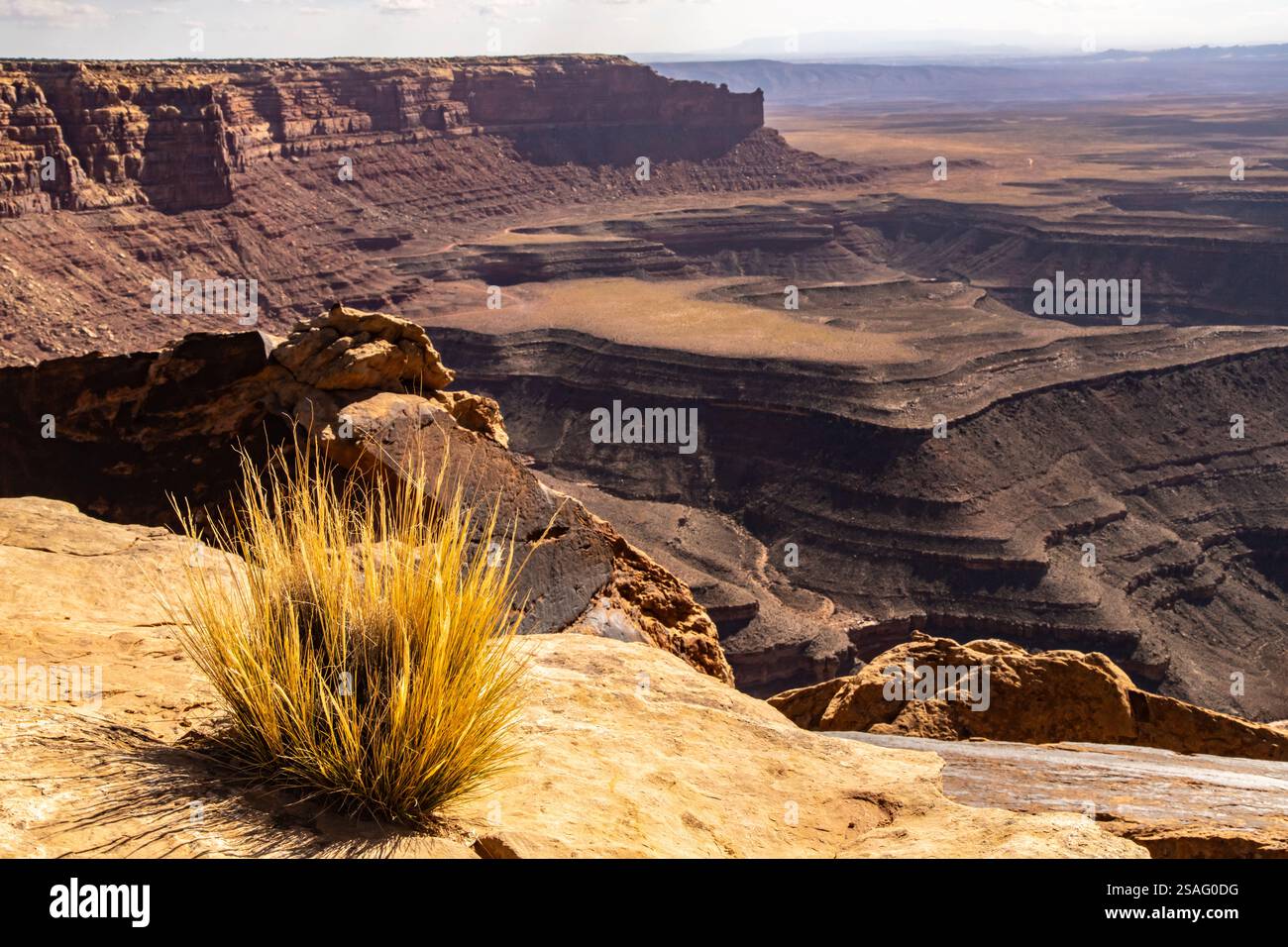 USA, Utah, Bear's Ears National Monument. Muley Point overlook of ...
