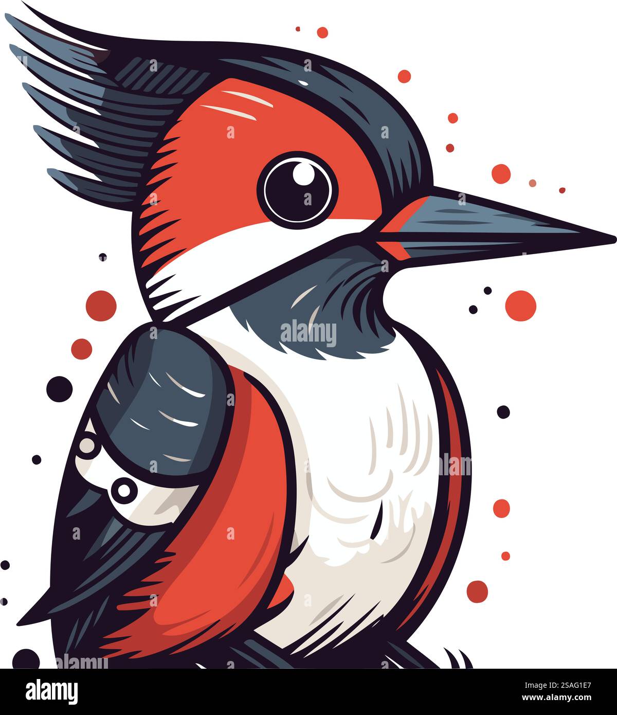Red backed Woodpecker vector illustration isolated on white background ...
