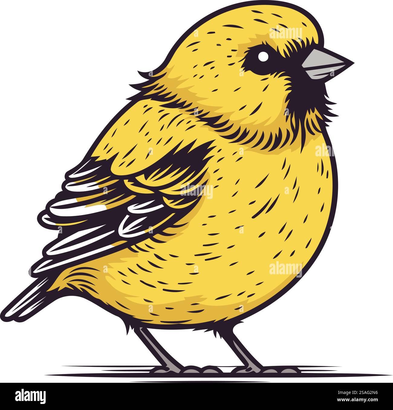 Vector illustration of a goldfinch. Isolated on white background Stock ...