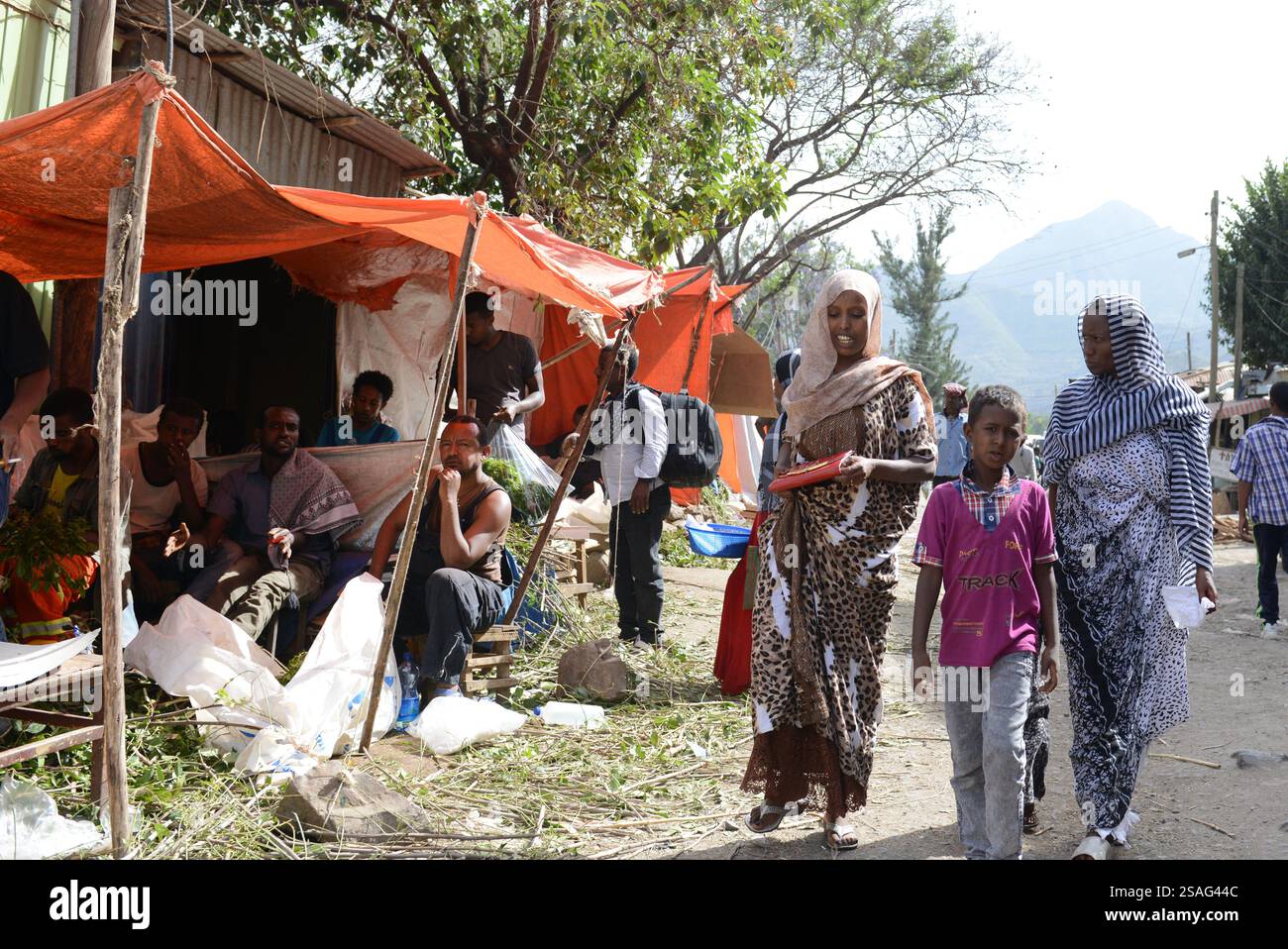 Khat market in Kombolcha, Ethiopia Stock Photo - Alamy