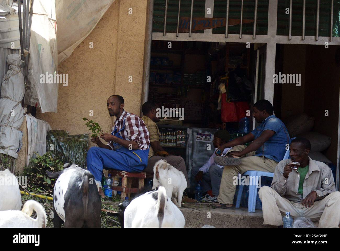 Khat market in Kombolcha, Ethiopia Stock Photo - Alamy
