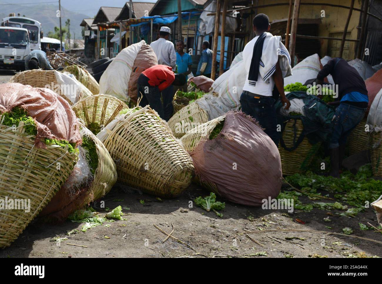 Khat market in Kombolcha, Ethiopia Stock Photo - Alamy