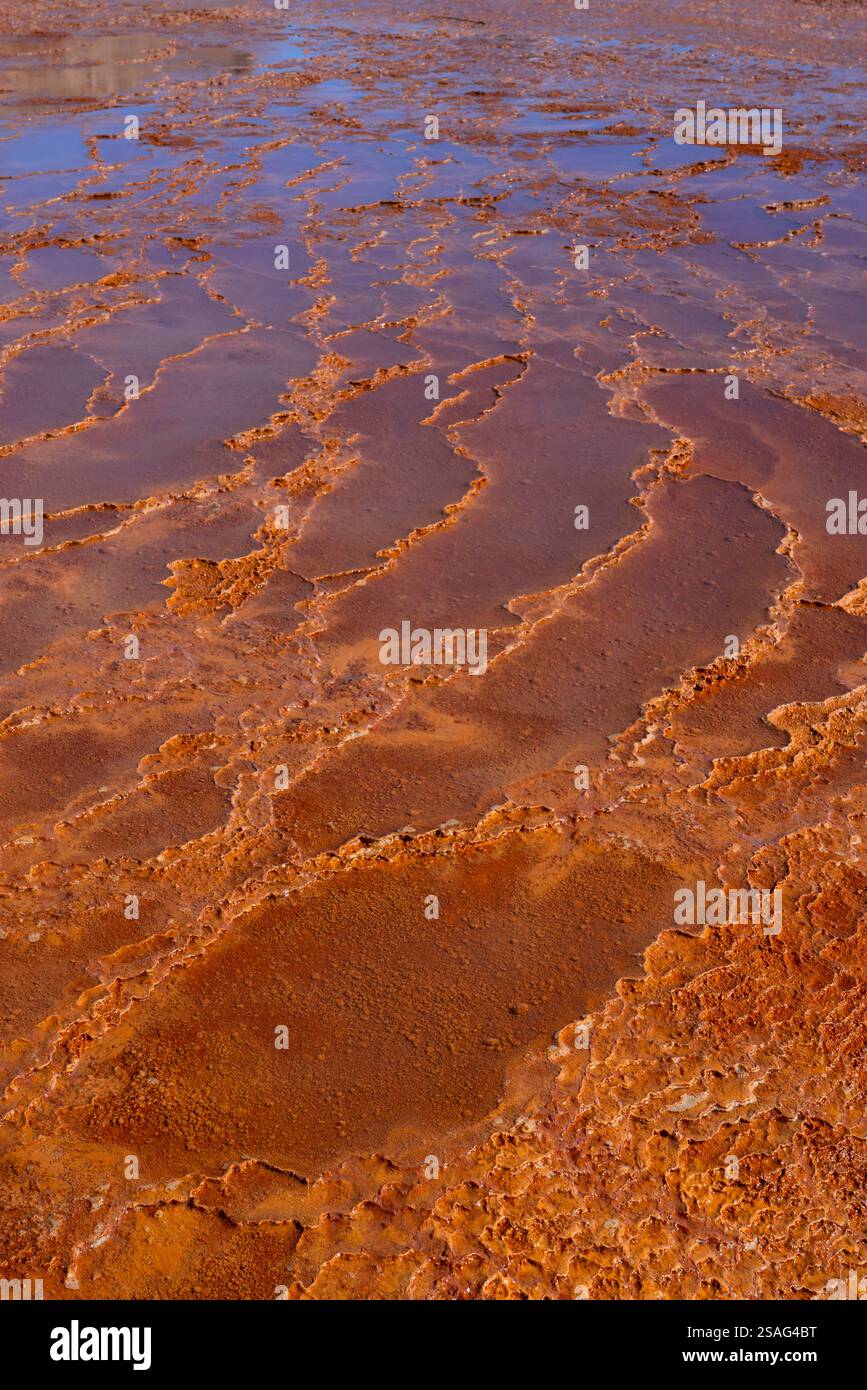 USA, Utah. Crystal Geyser, a cold water geyser, travertine geological ...