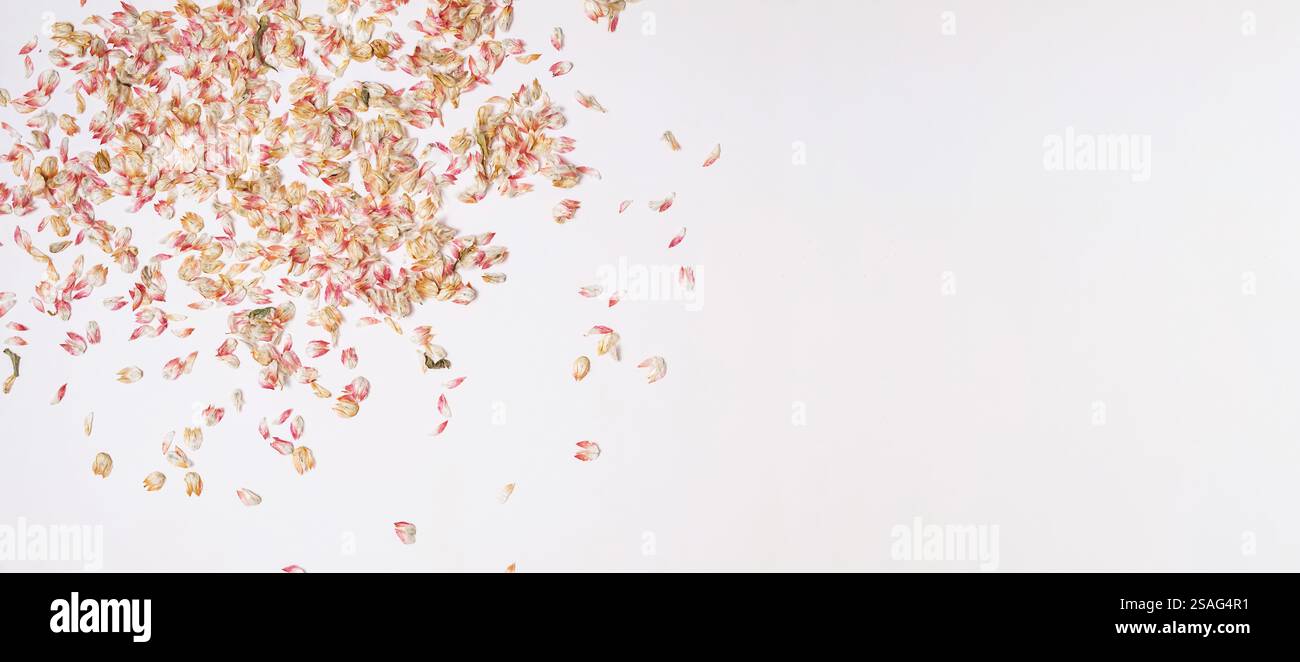 Sustainable dried petals confetti. Zero waste festive background Stock ...