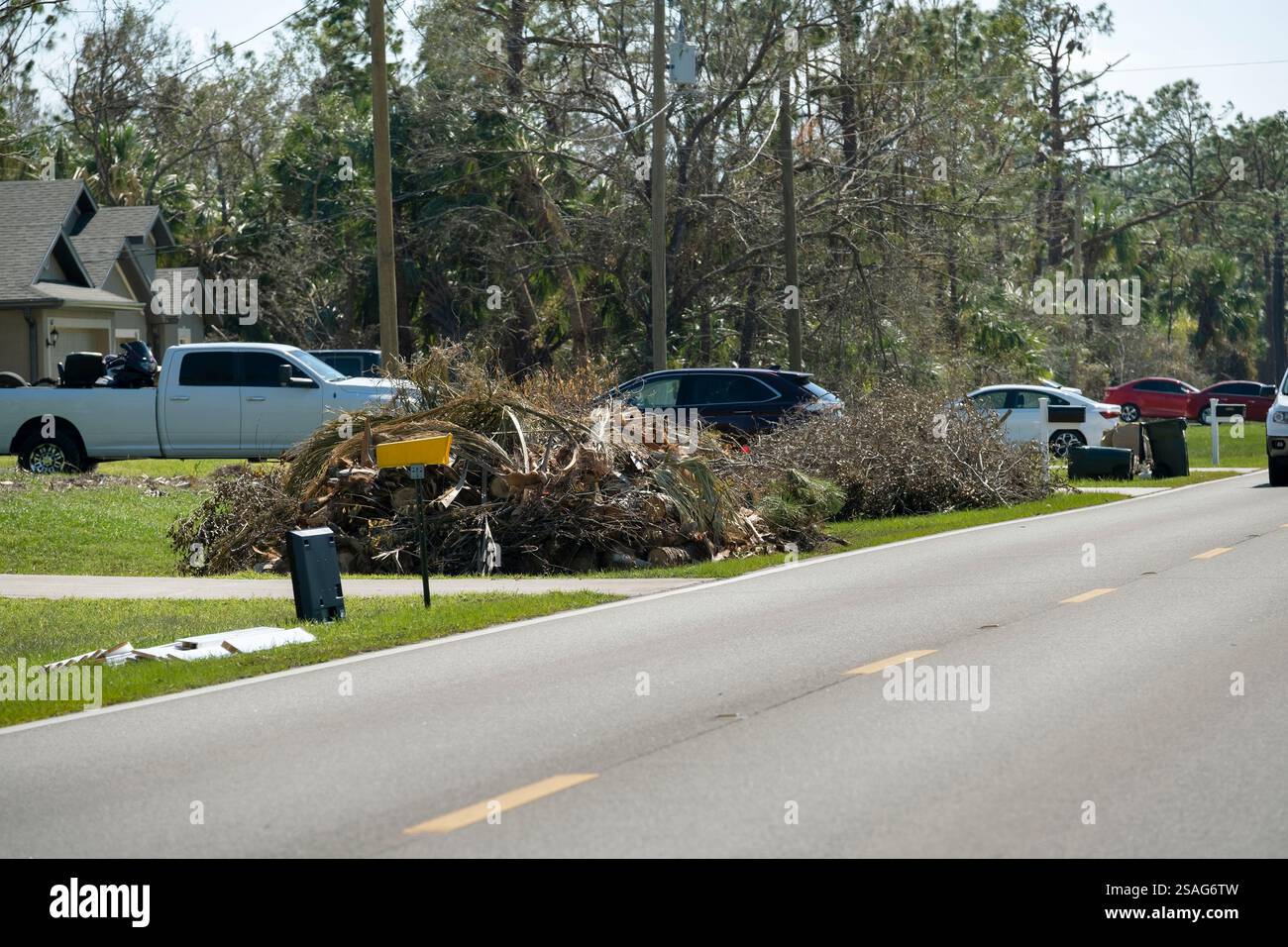 Cut down and fallen trees branches disposed in heaps on street side ...
