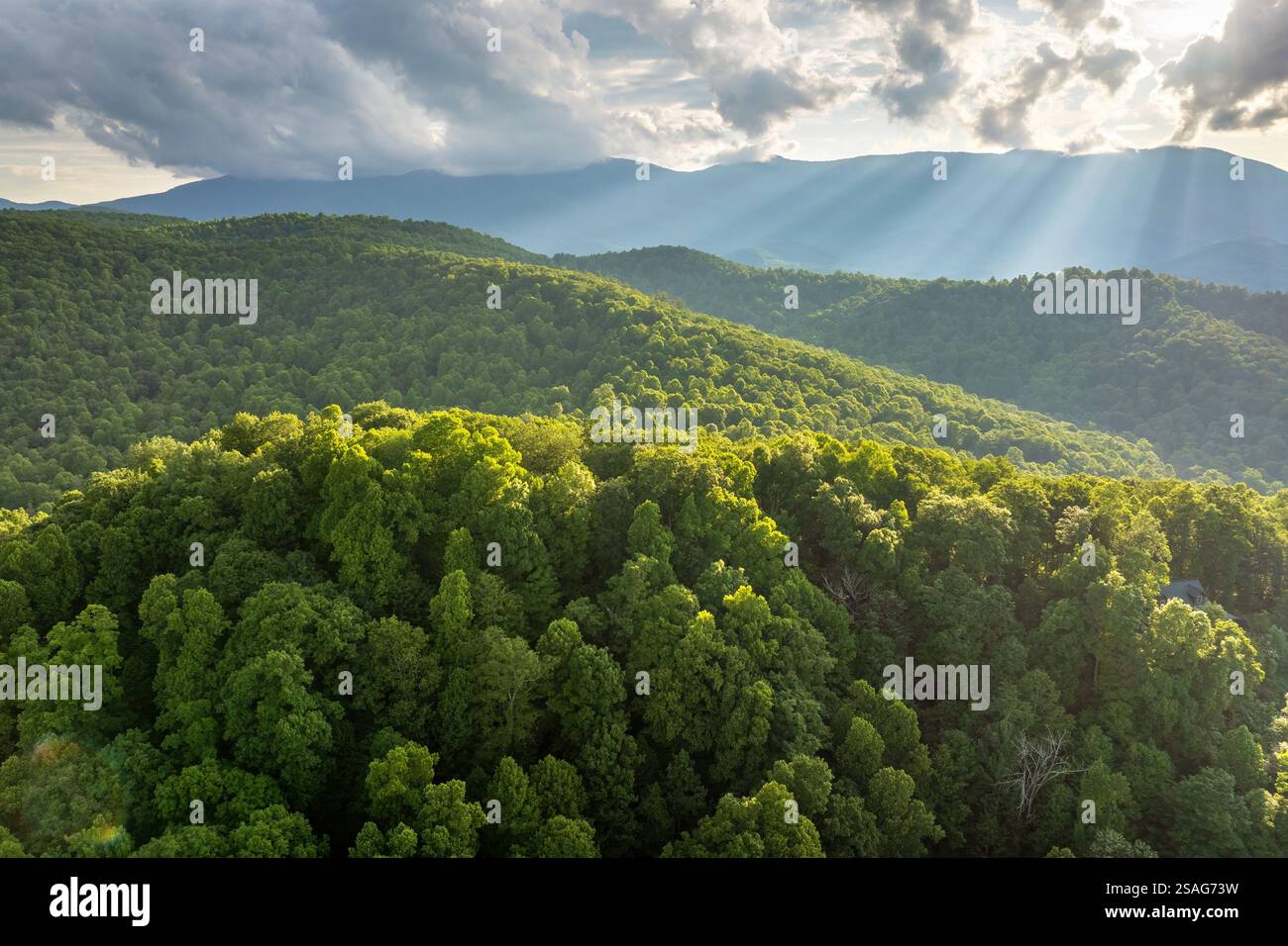Evening landscape in Appalachian mountains. Mt Mitchell in North ...