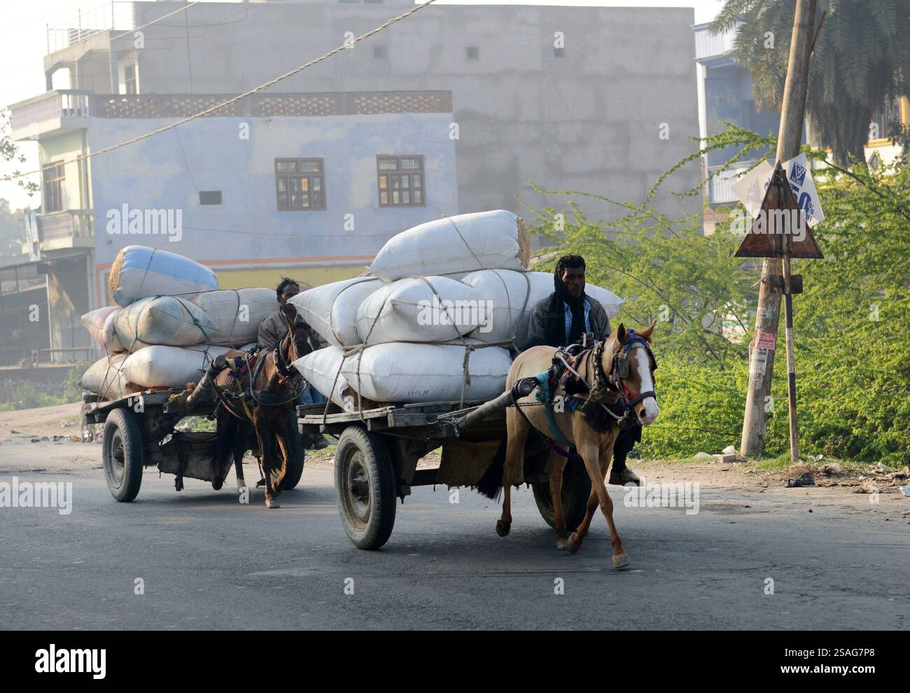 Transporting goods on a horse cart in Kannauj, Uttar Pradesh, India ...