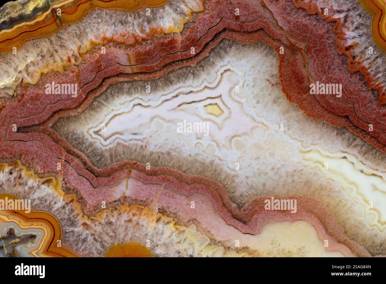 USA, Washington State, Sammamish. Close-up pattern design of agate ...
