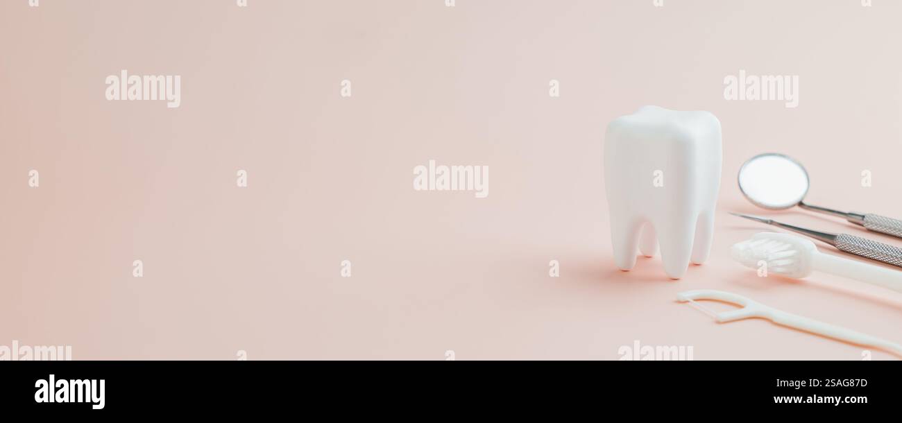 Dentist Day, a teeth model and dentist tools showcase oral health ...