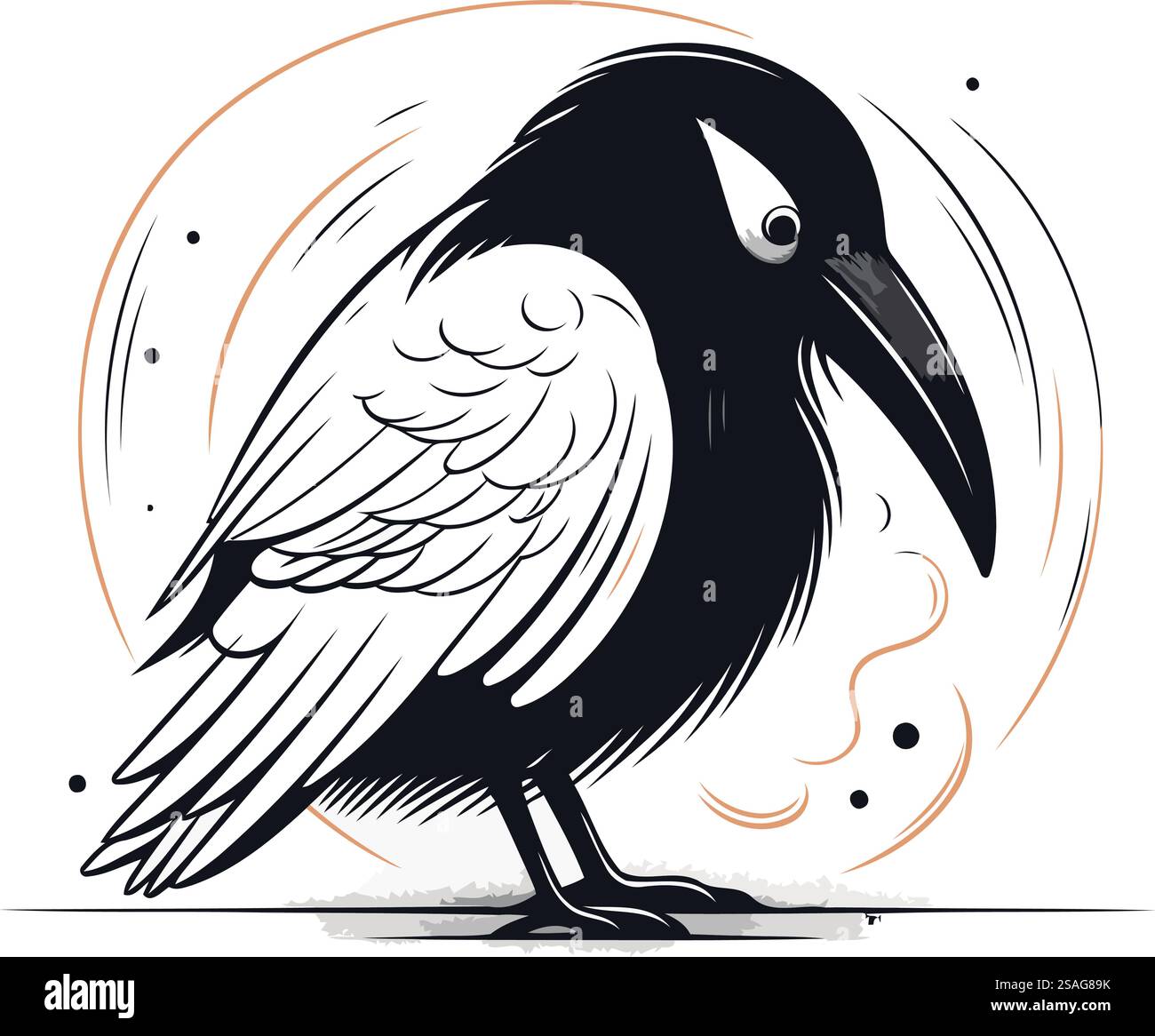Crow. hand drawn vector illustration. sketch for your design Stock ...