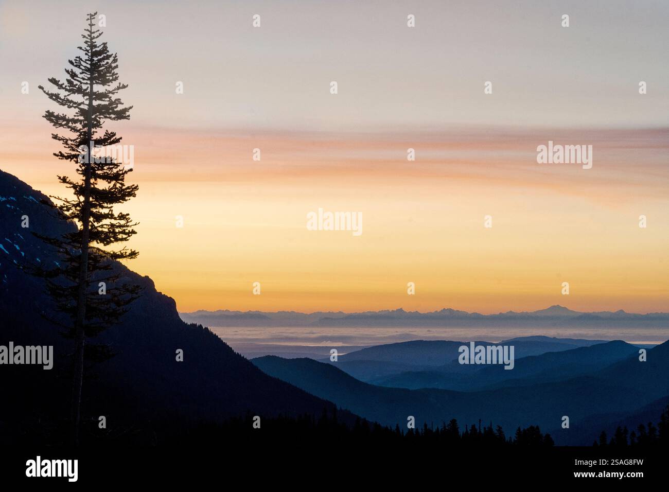 USA, Washington State, Olympic National Park. View from Hurricane Ridge ...