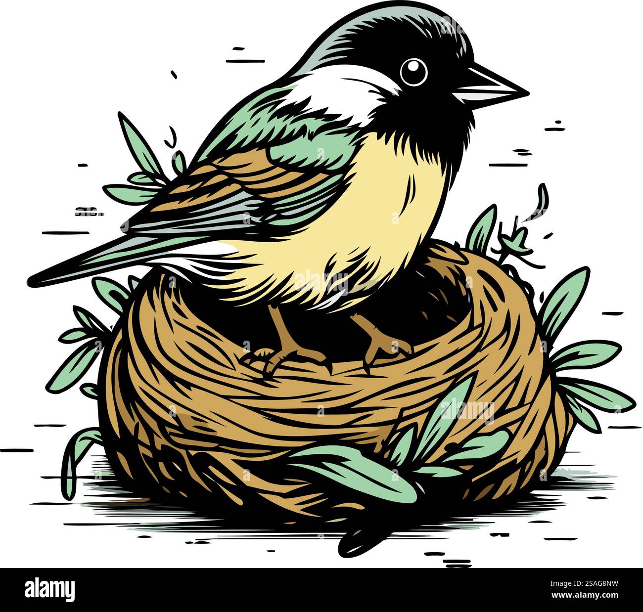 Illustration of a bird in a nest. Hand drawn vector illustration Stock ...