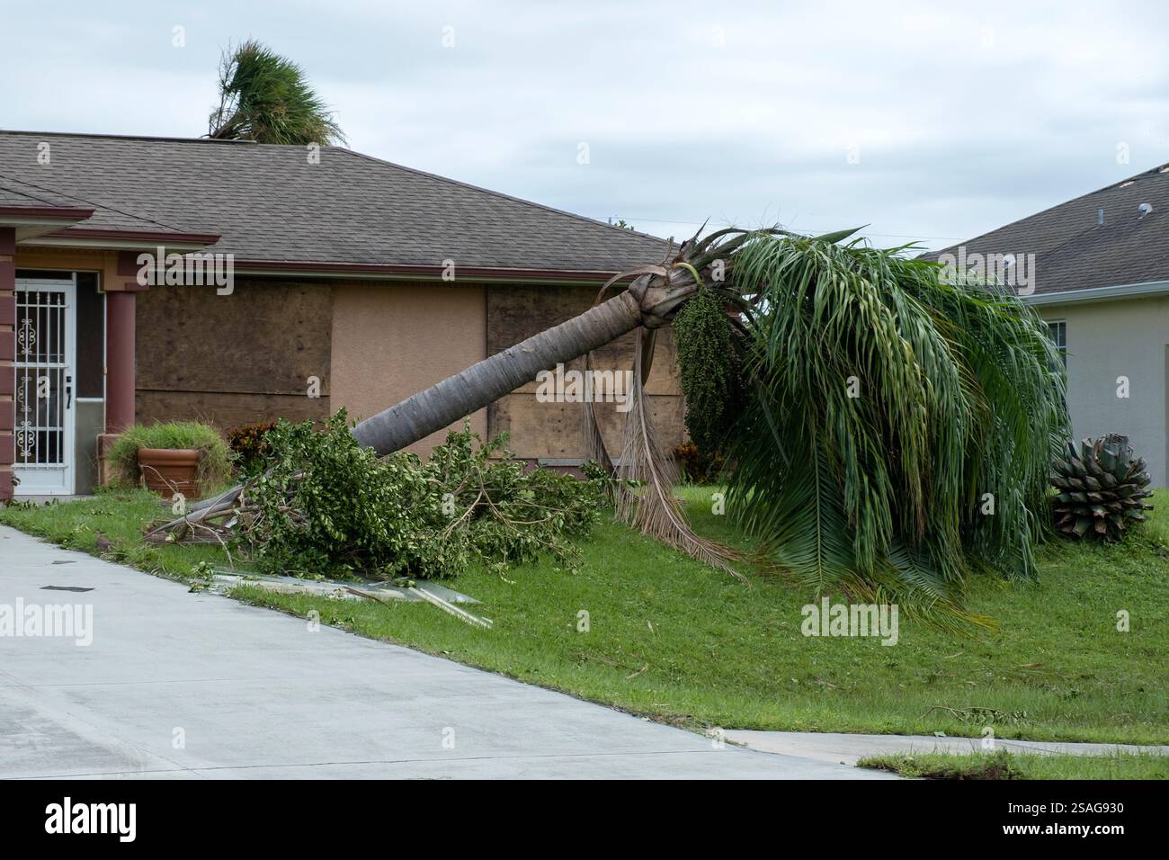 Tree removal after hurricane damage to palm tree in Florida home ...