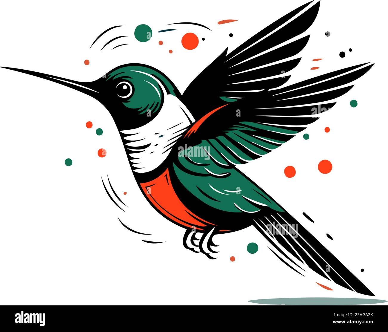 Hummingbird vector illustration. Isolated on a white background Stock ...