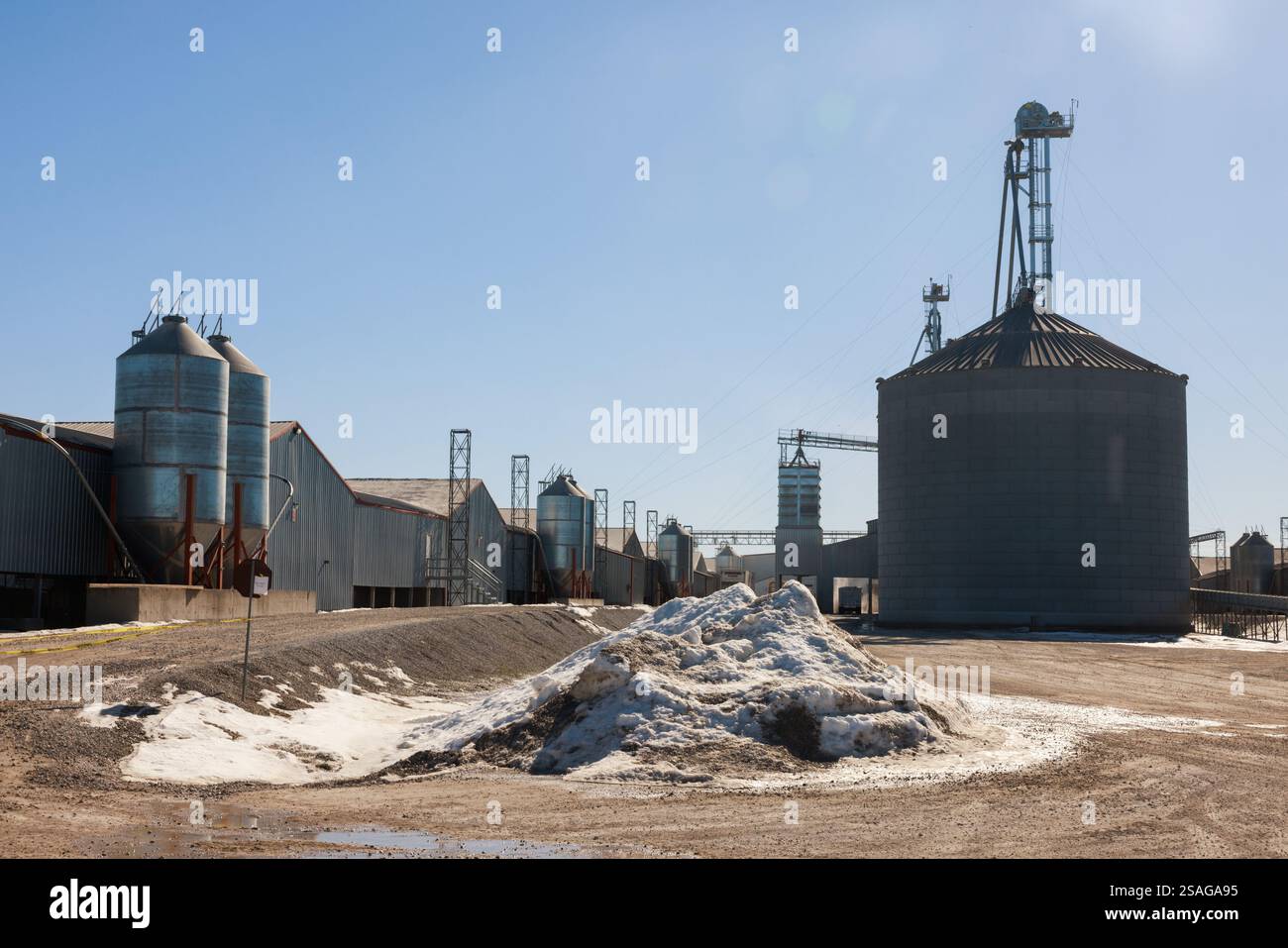 Rose acre farms hi-res stock photography and images - Alamy