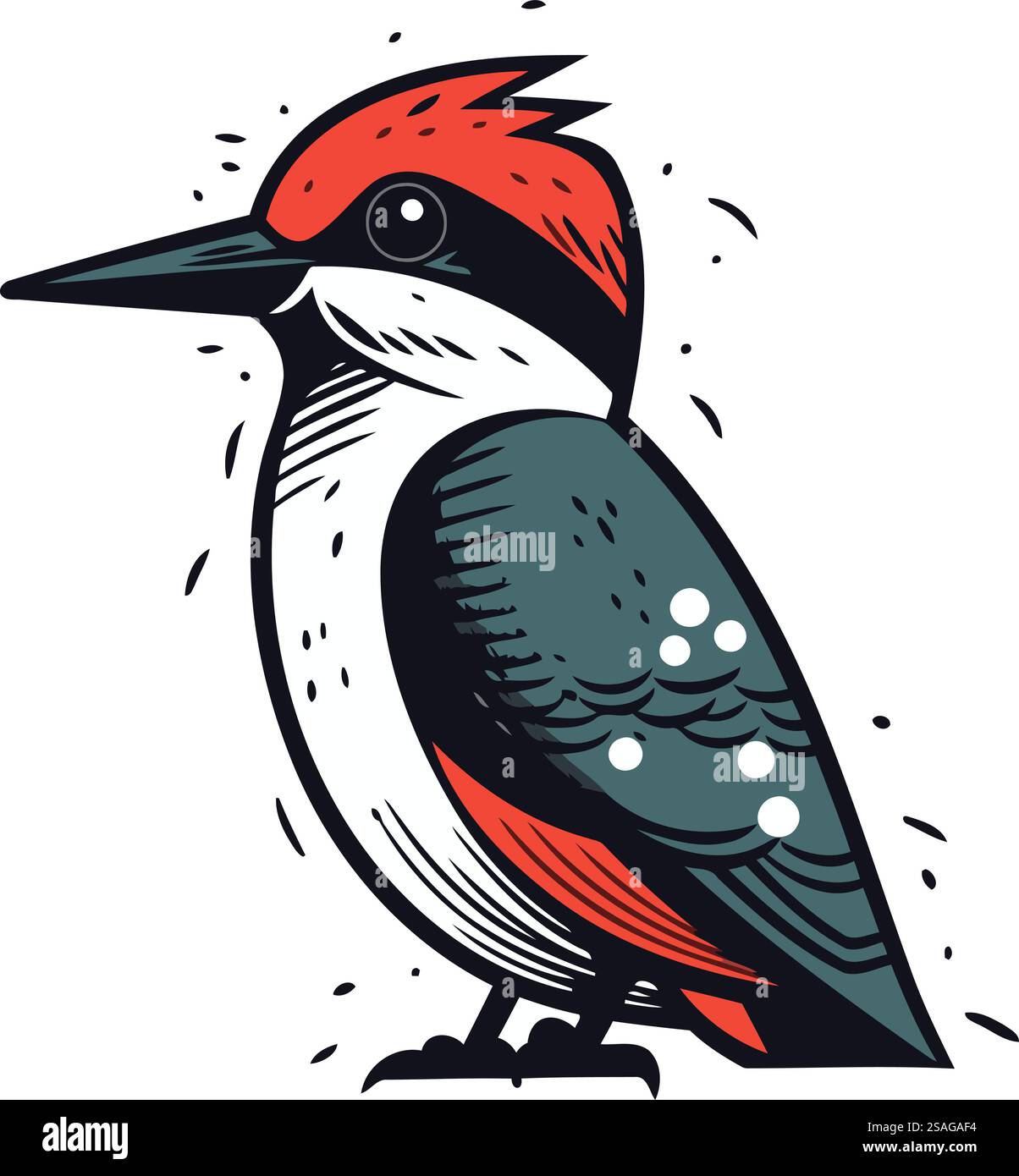 Black backed Woodpecker. Hand drawn vector illustration in cartoon ...