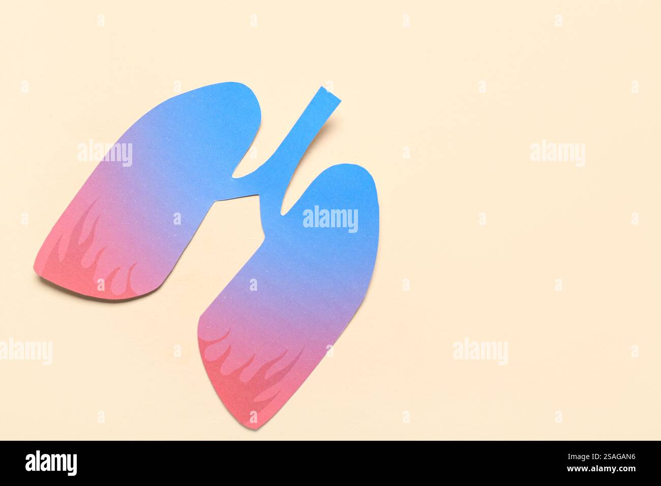 Paper lungs on beige background Stock Photo - Alamy