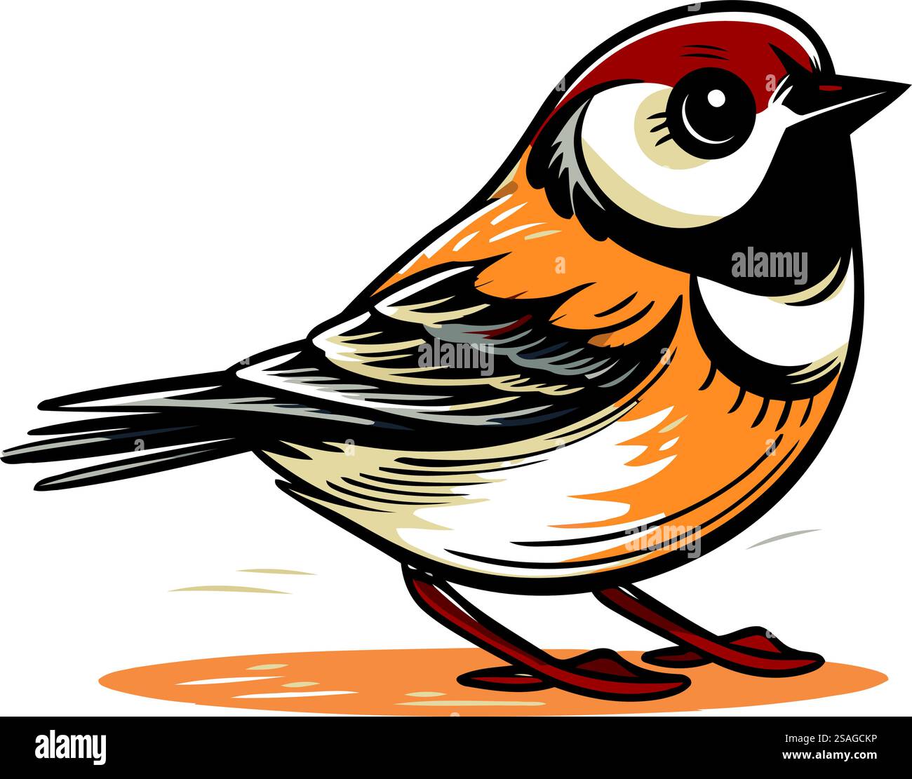 Illustration of a titmouse bird isolated on white background. Vector ...