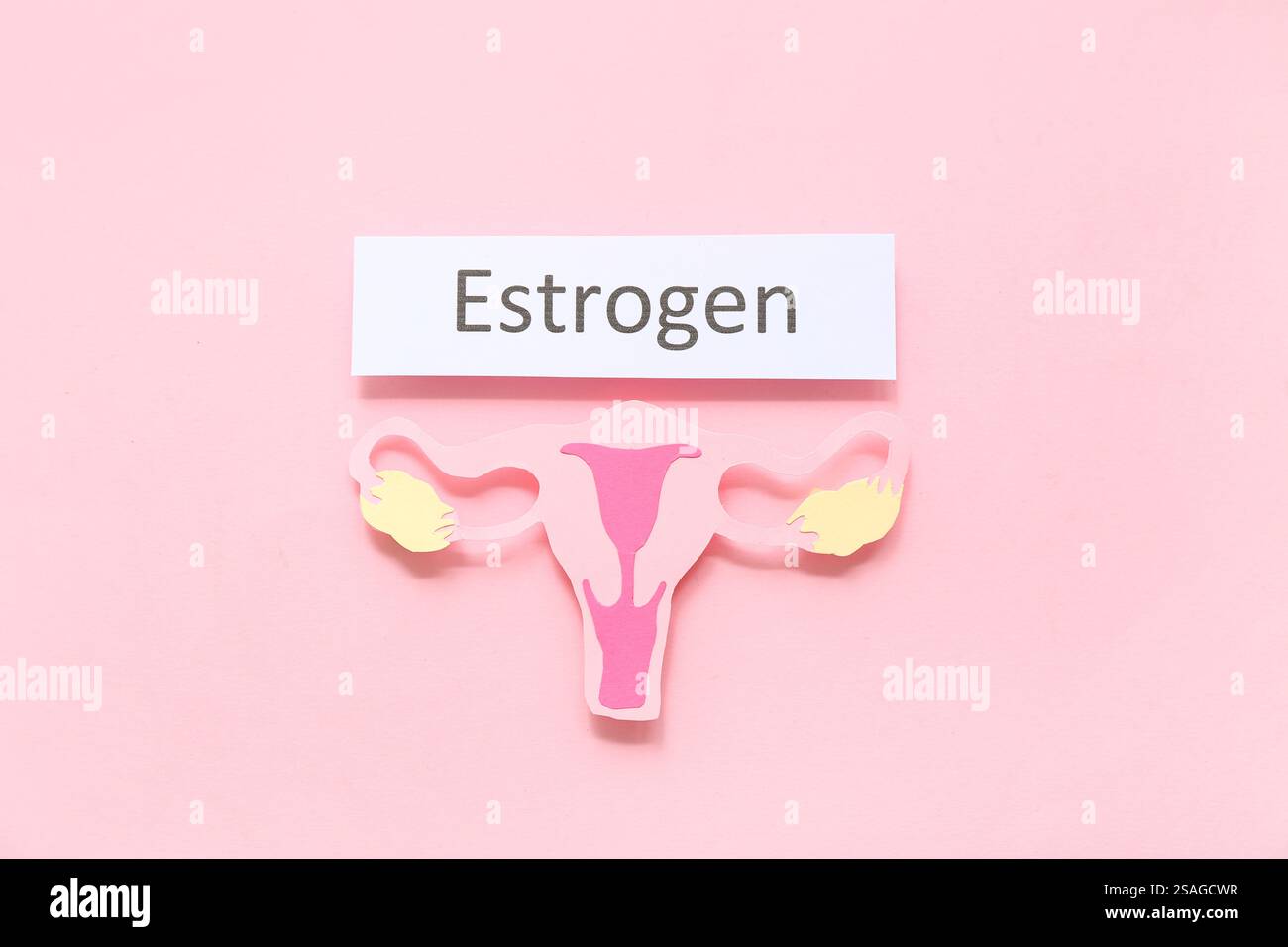 Estrogen function hi-res stock photography and images - Alamy